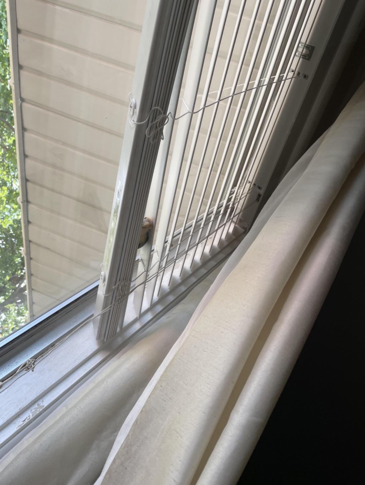 Hidden Mode: Expert | Scrolller