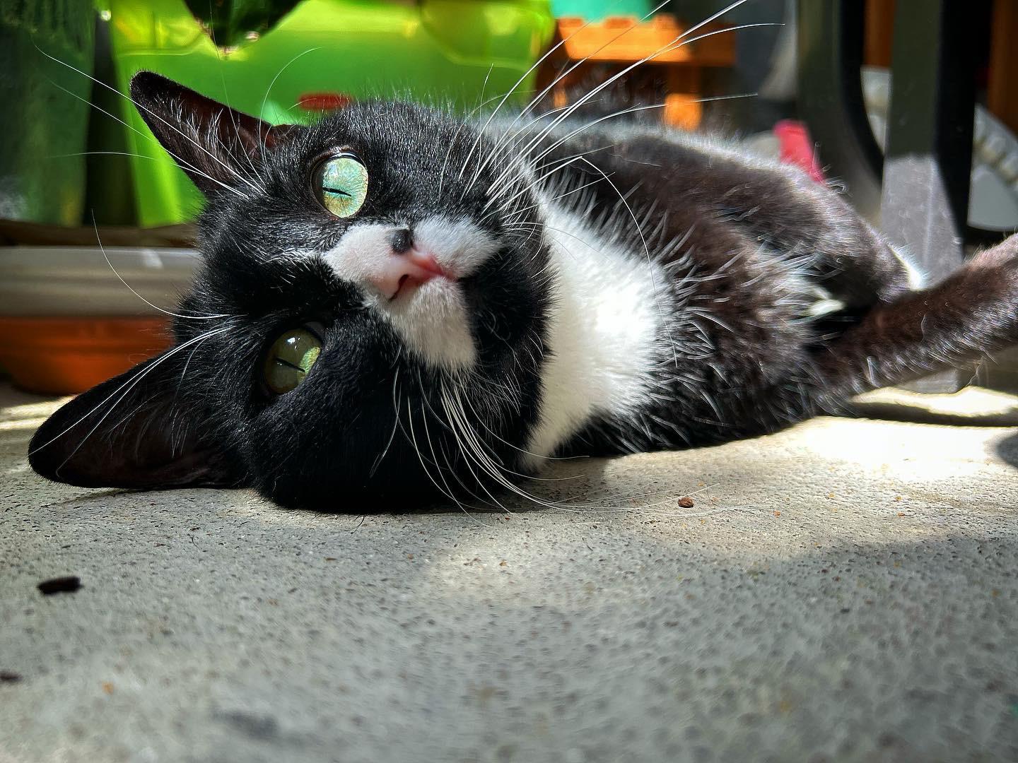 Asher’s eyes are stunning in the sun | Scrolller