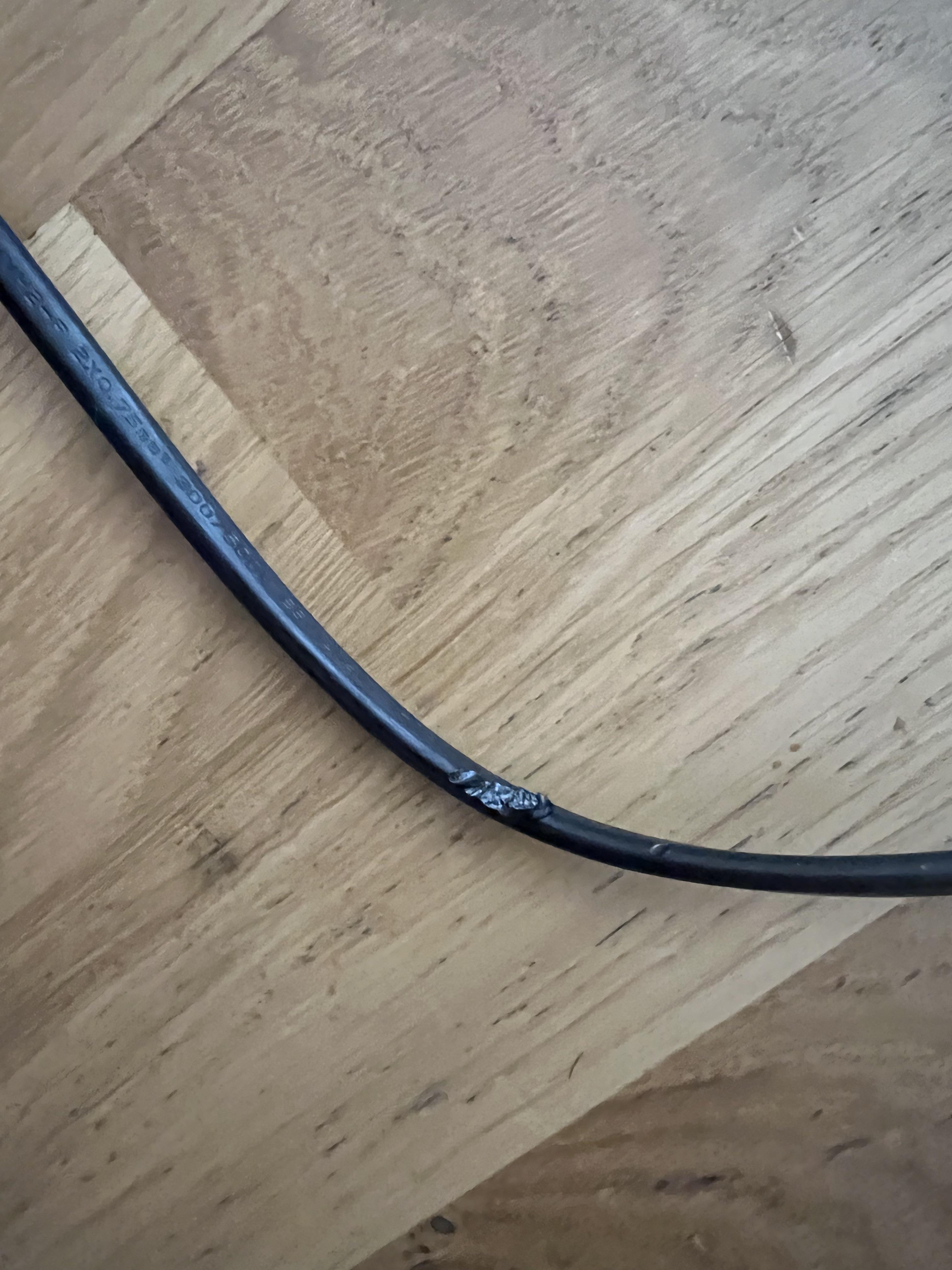 URGENT: is this safe to use? | Scrolller