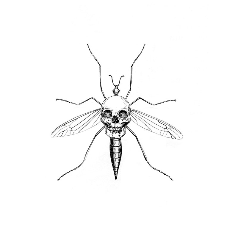 Thoughts on the crane fly design and placement? | Scrolller