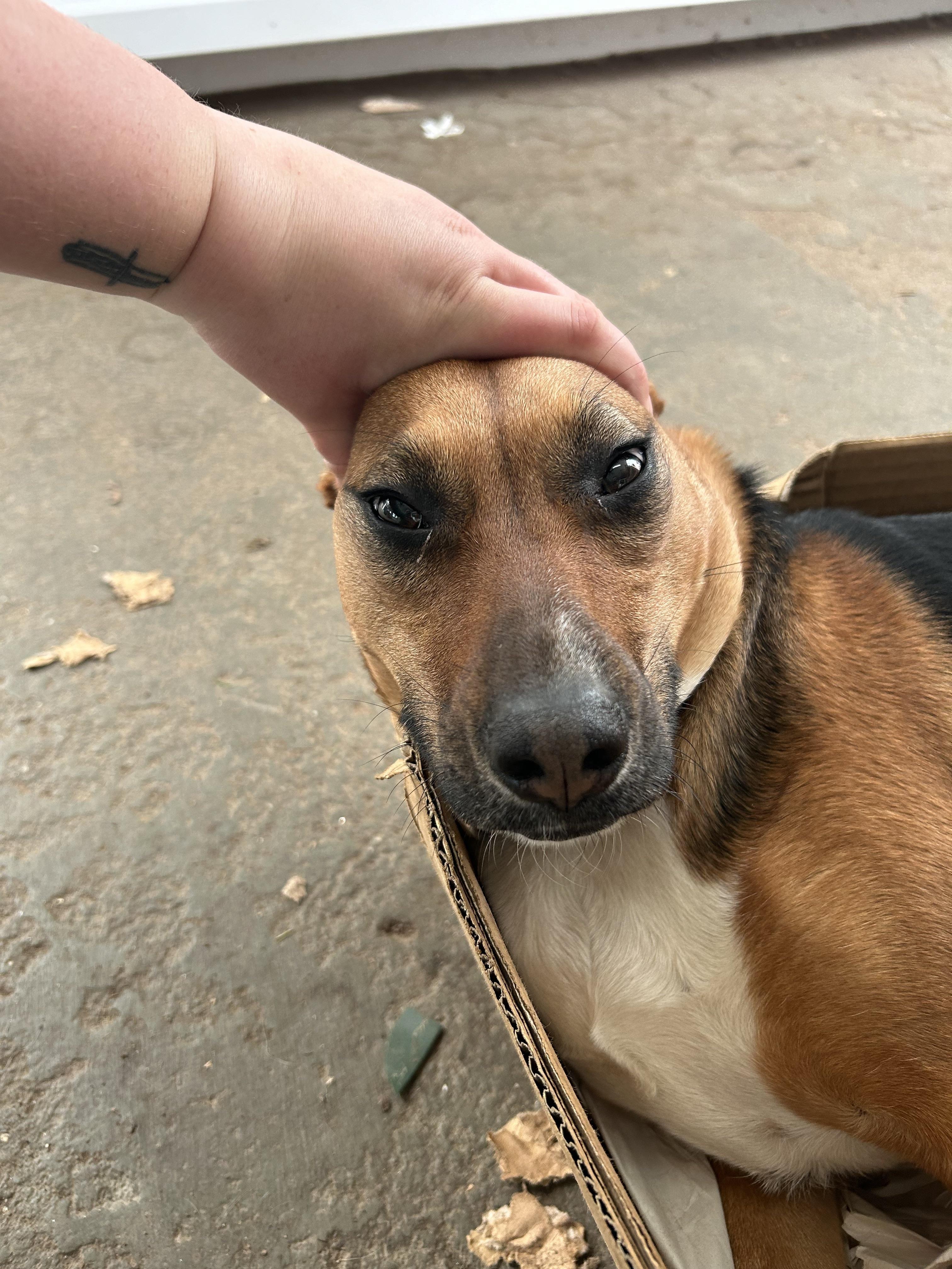 My coworker | Scrolller