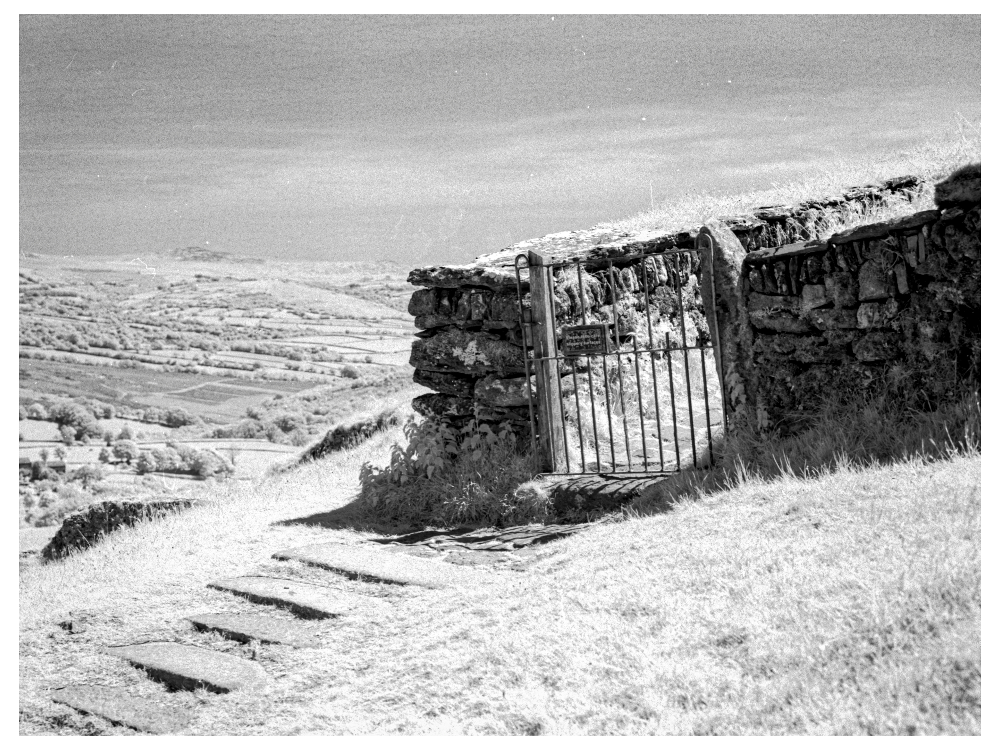 Rollei Infrared 400 | Scrolller