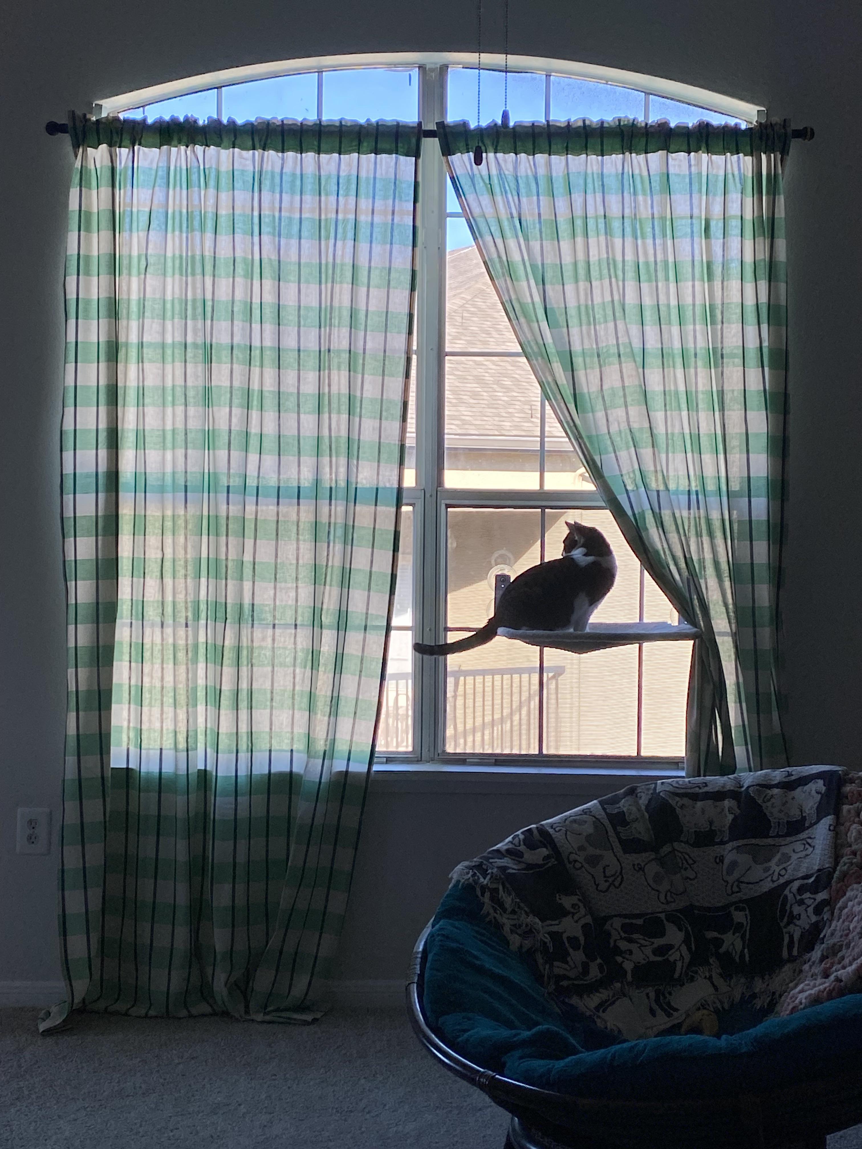 Opinions on Curtains | Scrolller