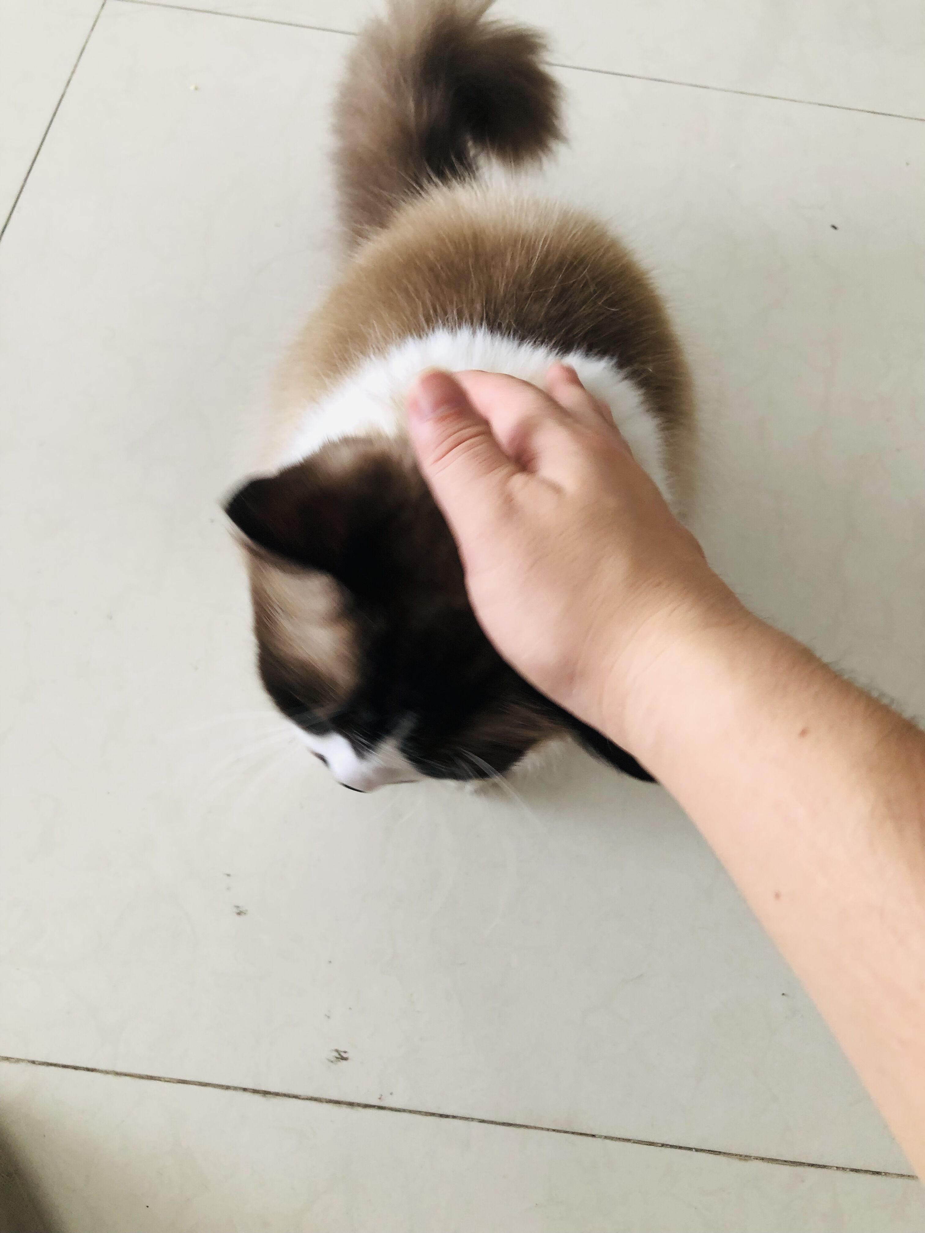 My new neighbor | Scrolller