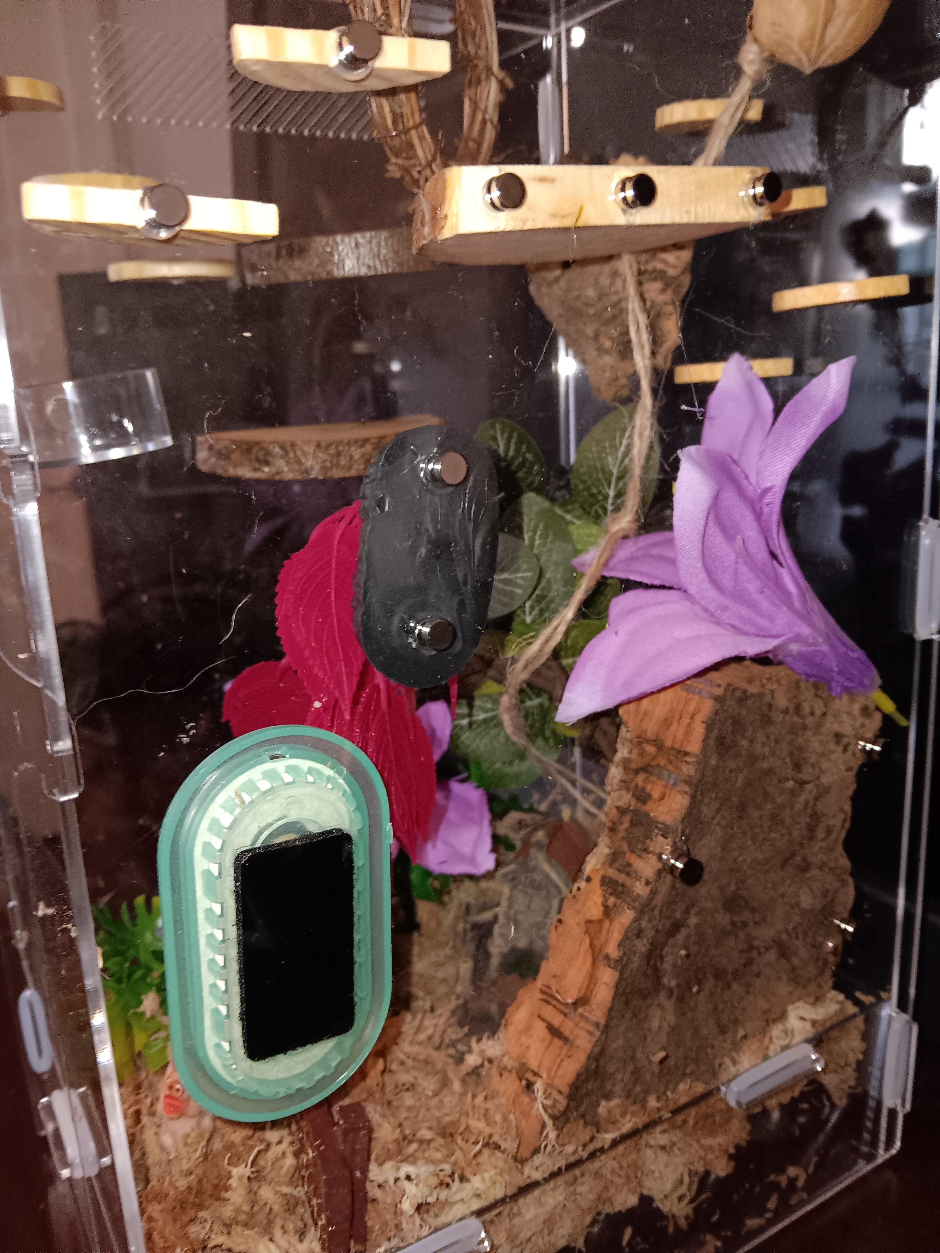 ENCLOSURE UPDATE! | Scrolller