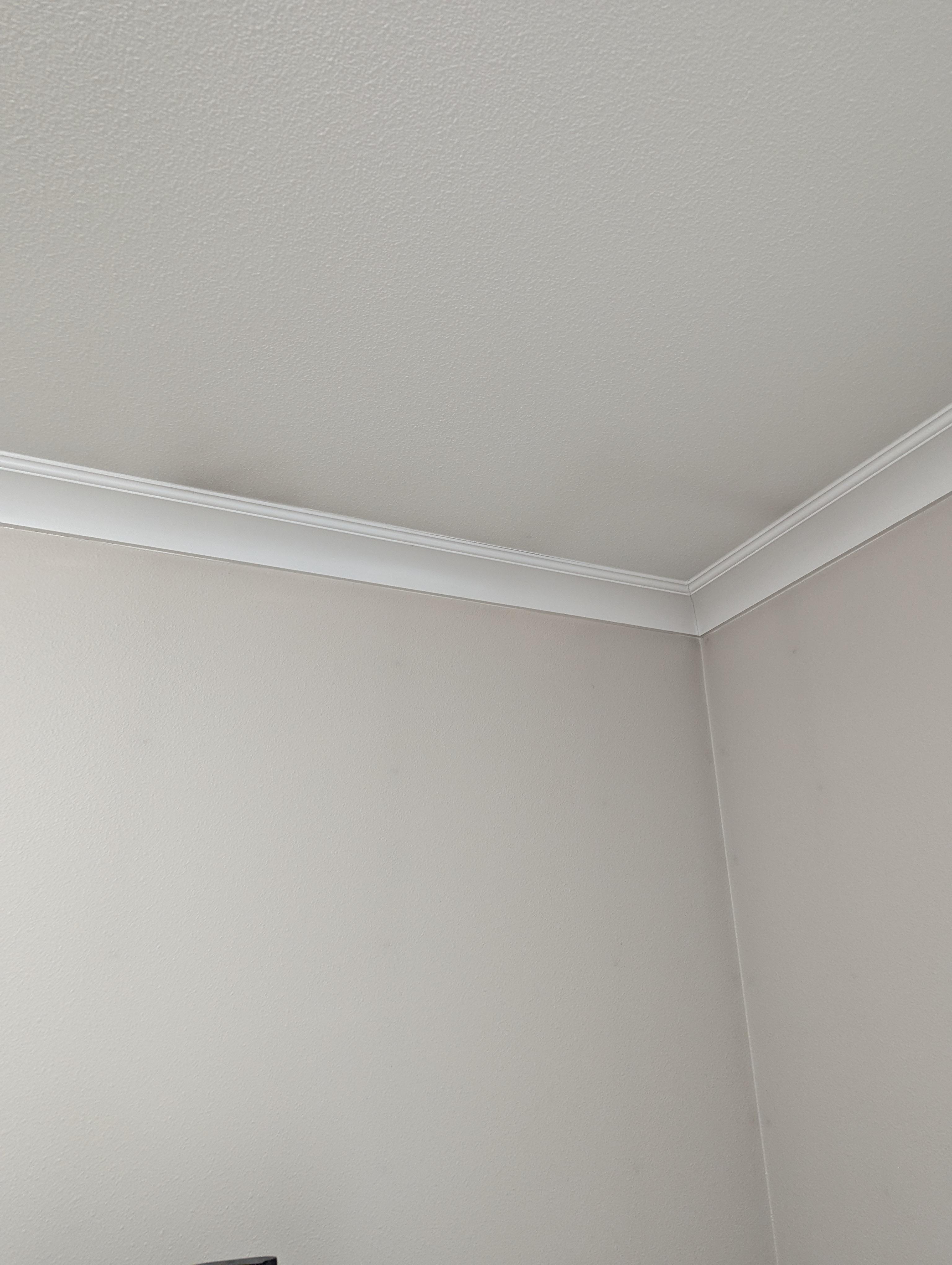 Does this look like mold? | Scrolller