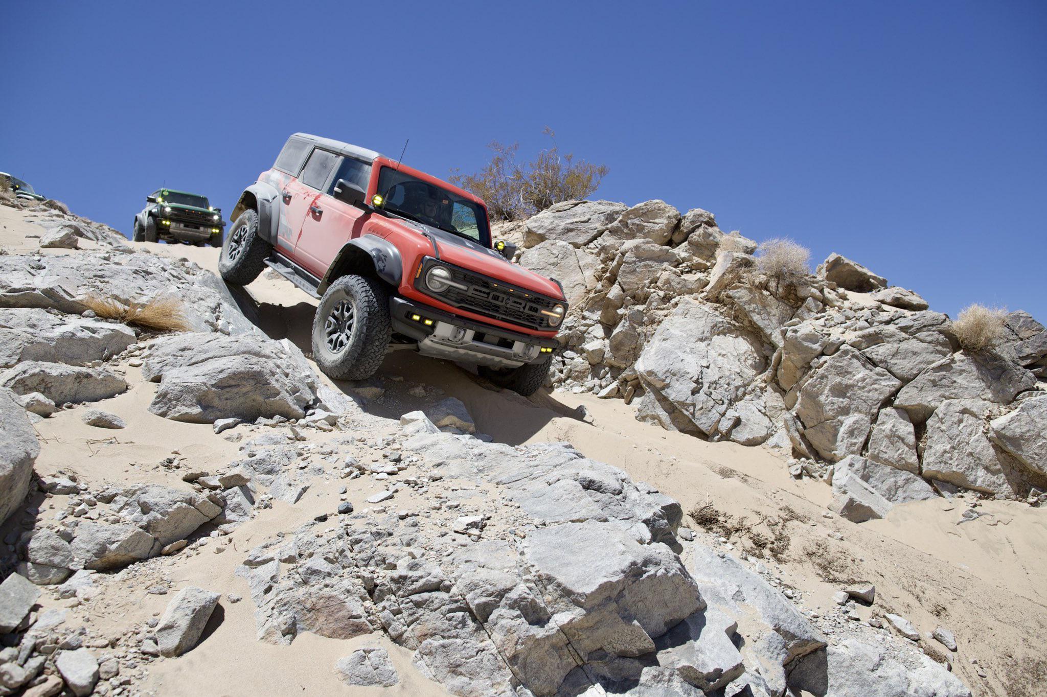 Bronco Raptors | Scrolller