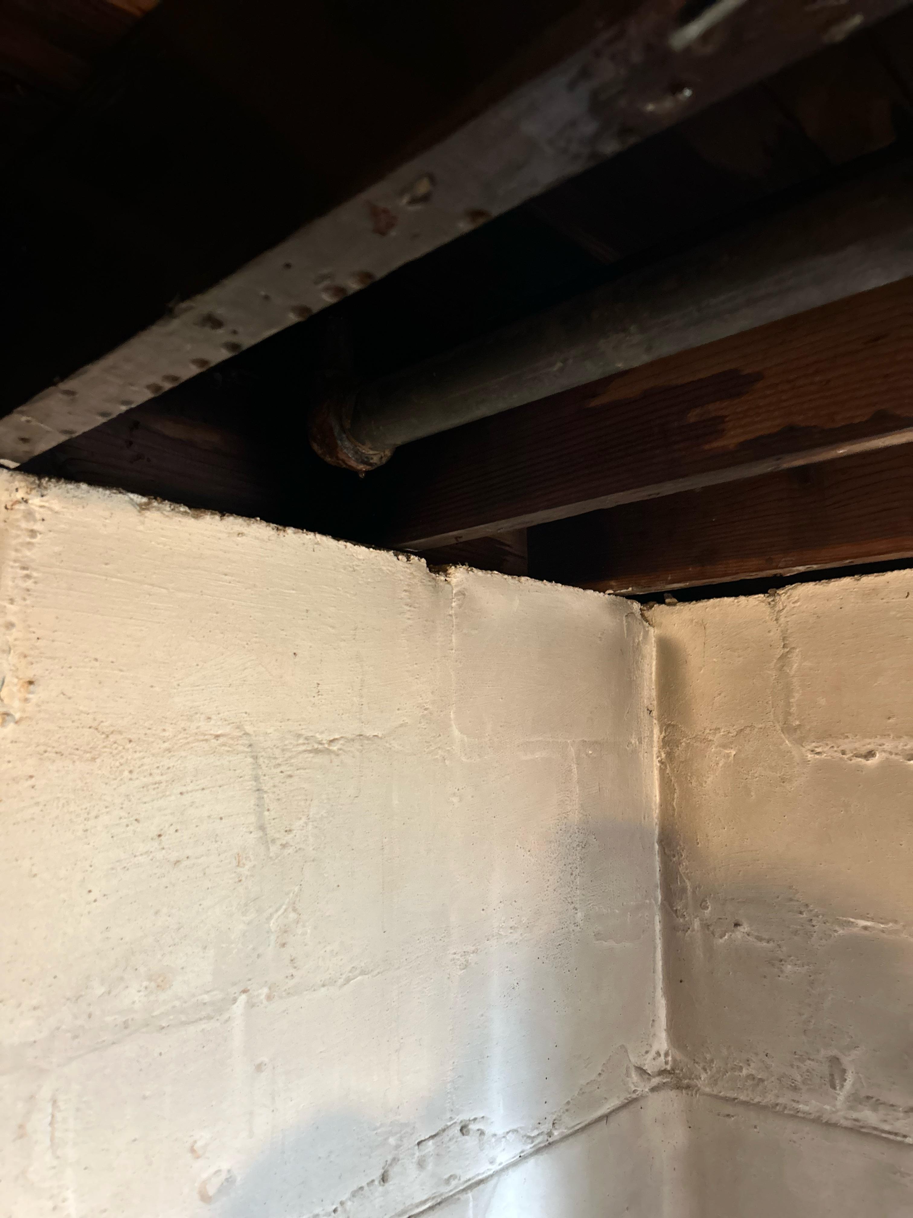 Radiator leaking | Scrolller