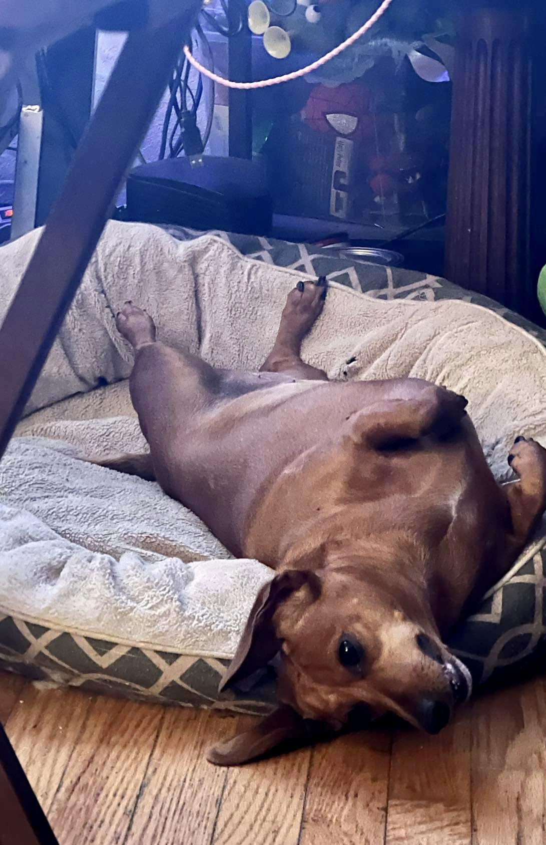 Pepper, just Pepper | Scrolller