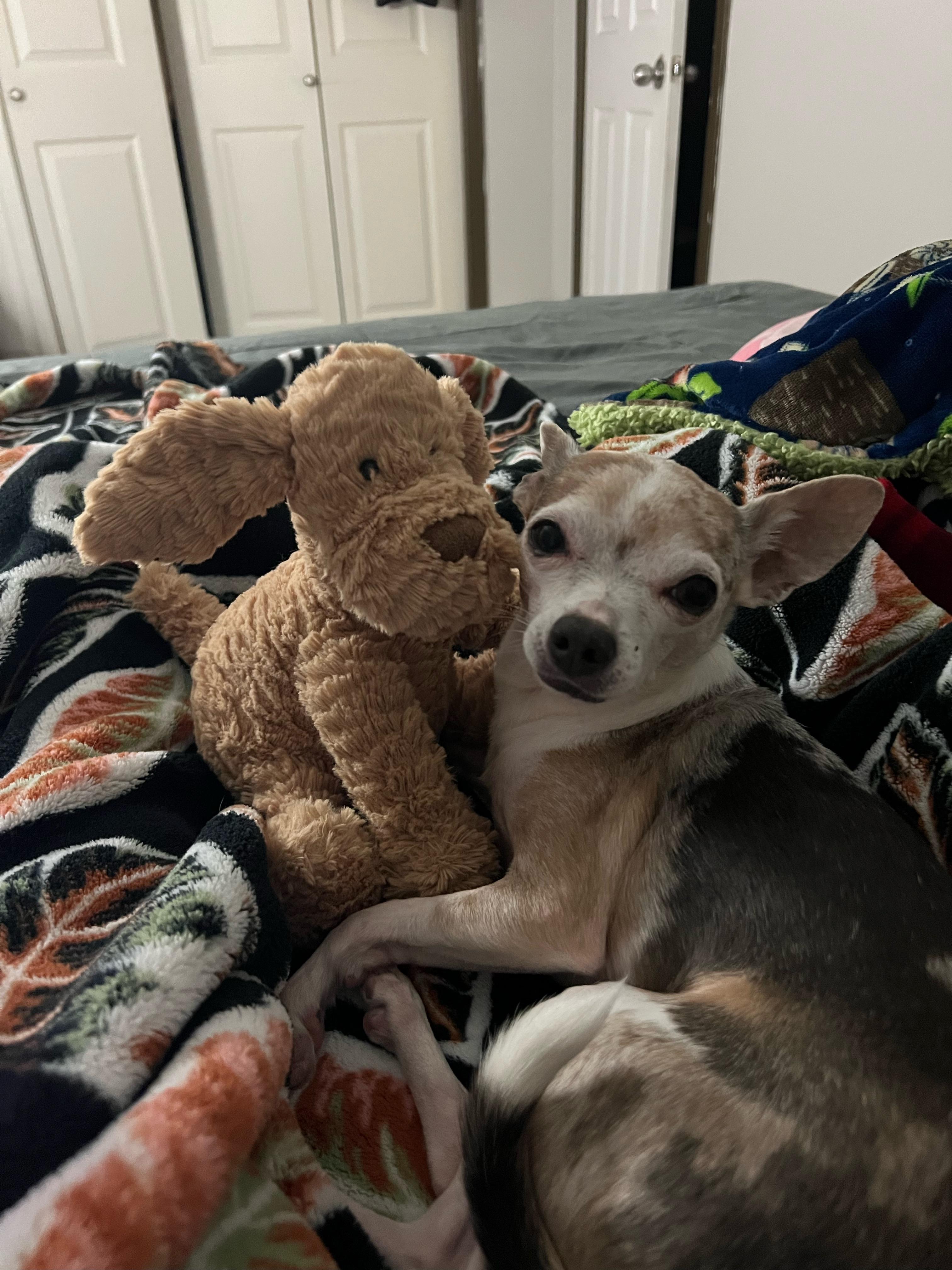 Oreo and his dawg | Scrolller