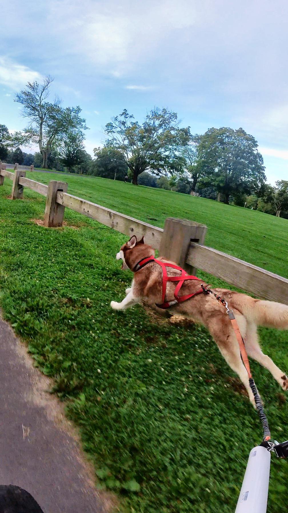 It’s his flow… | Scrolller