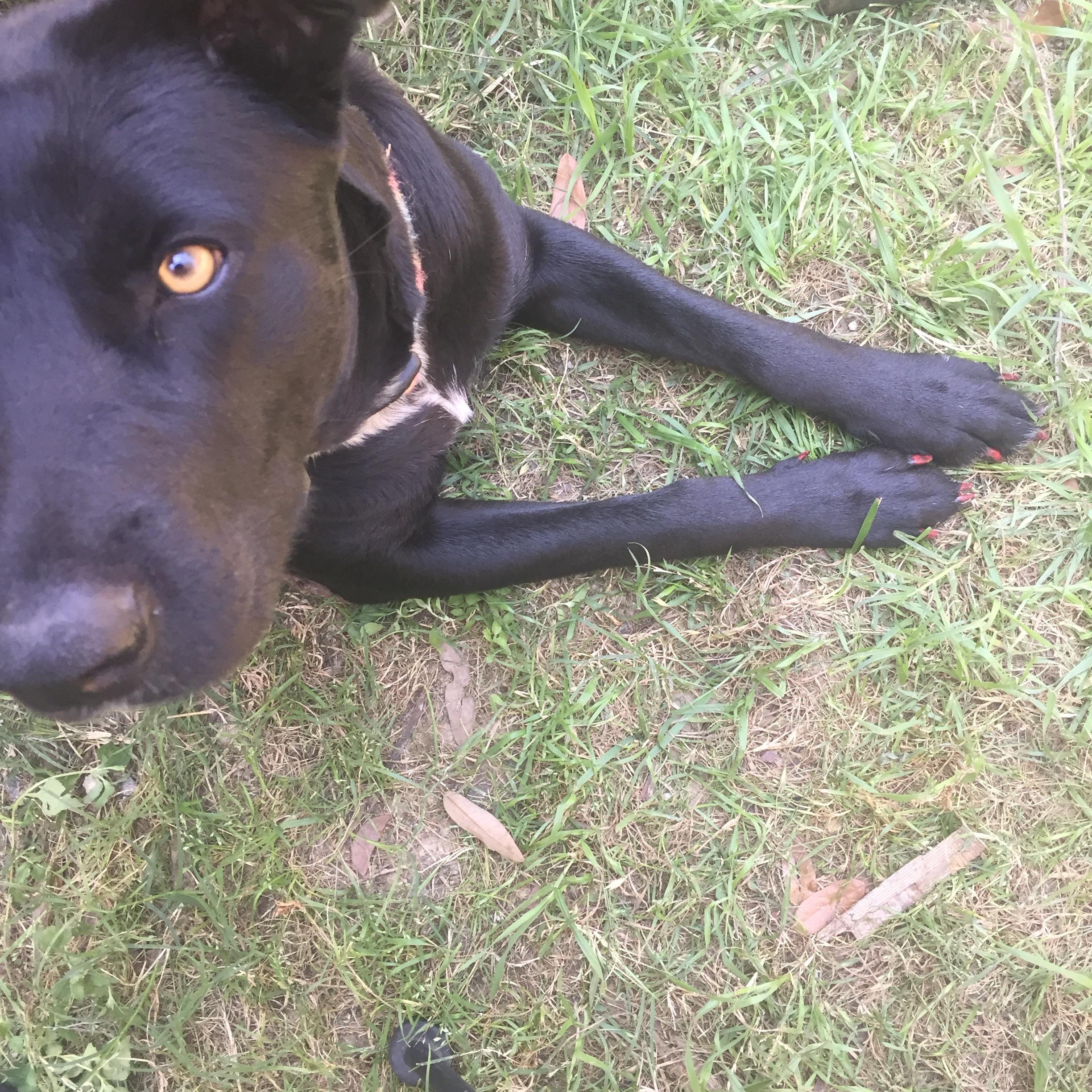 Charisma Uniqueness Nerve and Talent. | Scrolller