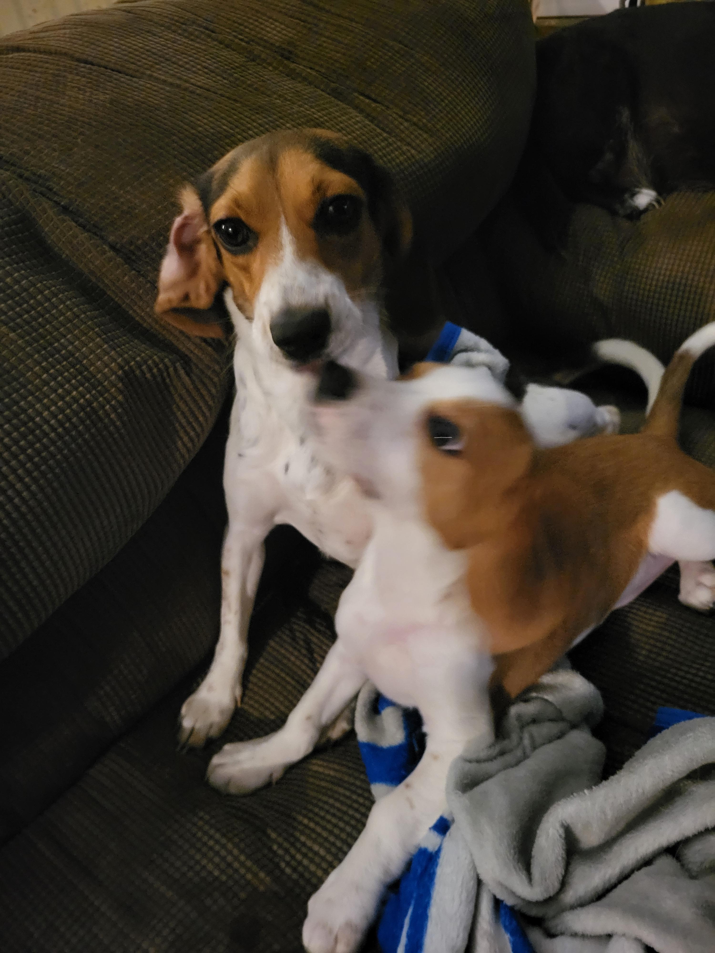 Brooke Lucille and her son Buster Bluth | Scrolller