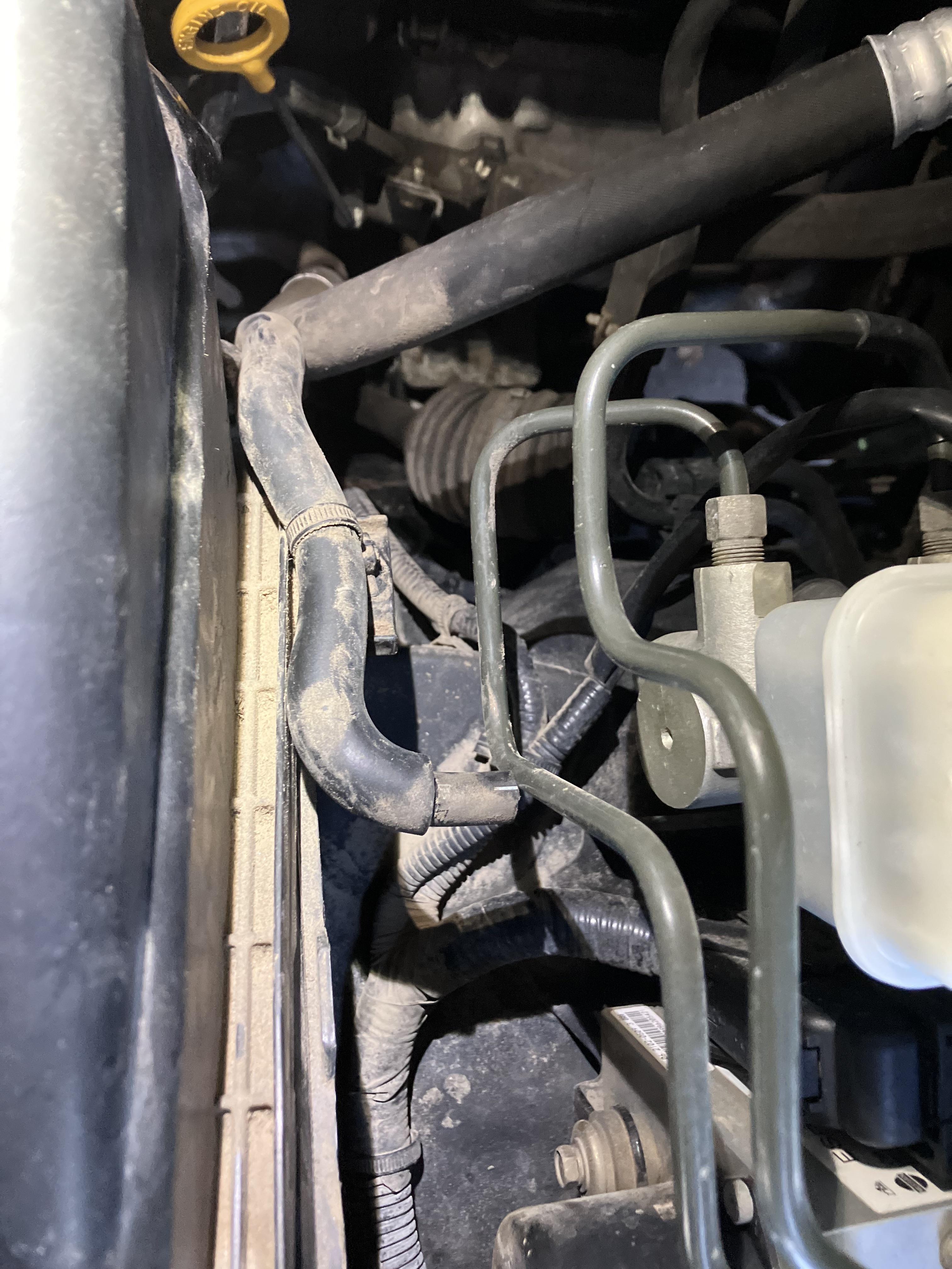 Mystery Hose | Scrolller