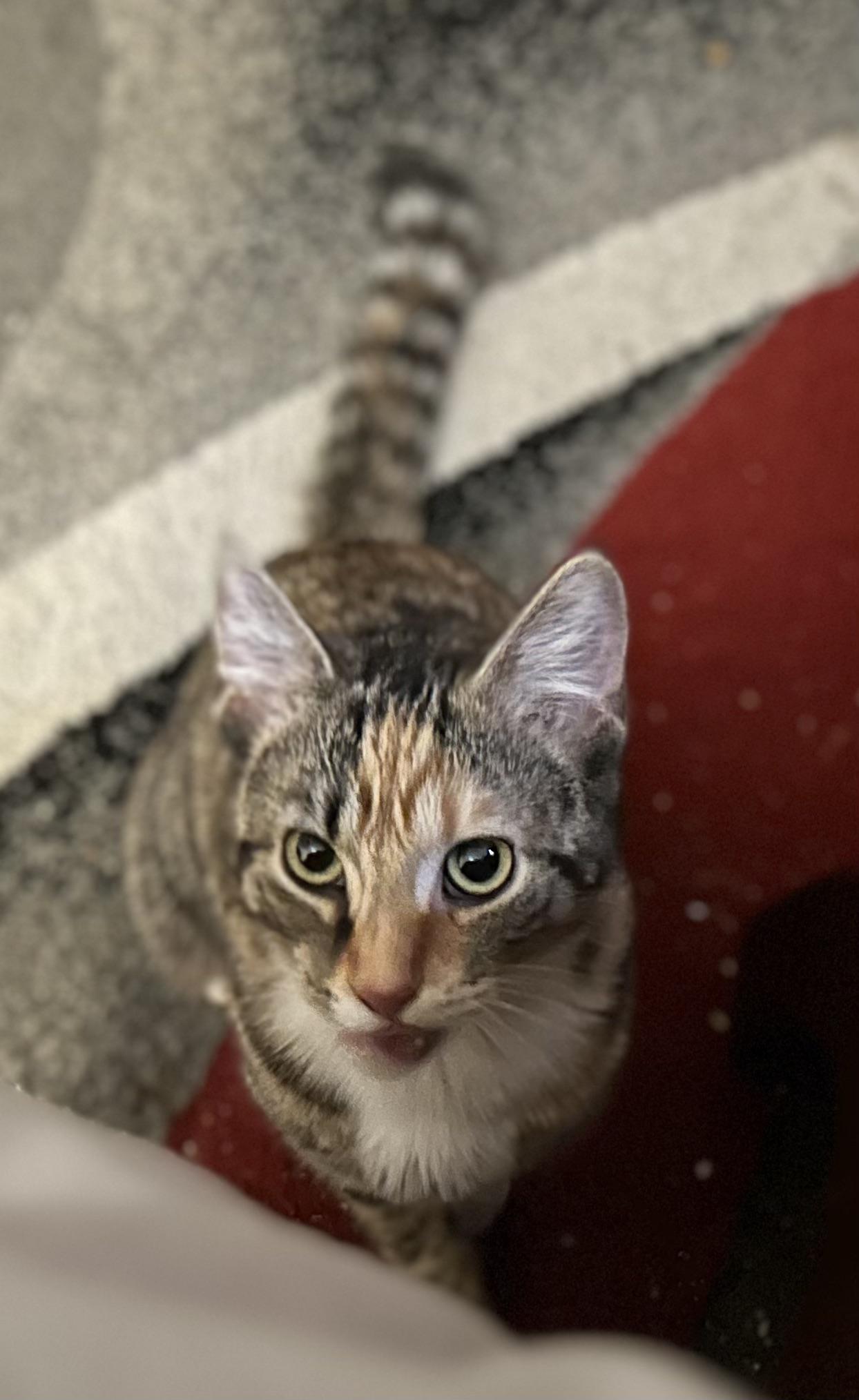 Before and after she attacks | Scrolller