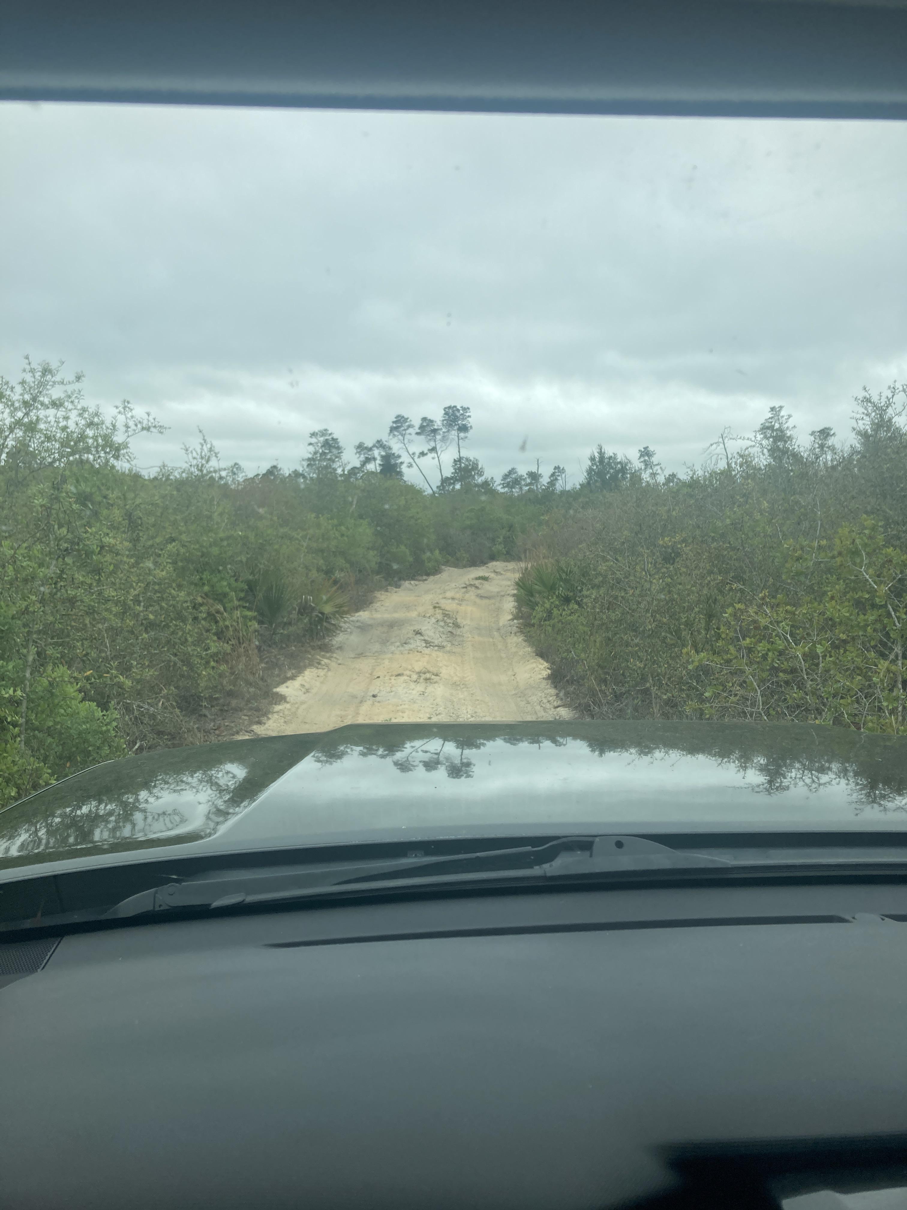 Revisiting childhood memories. | Scrolller