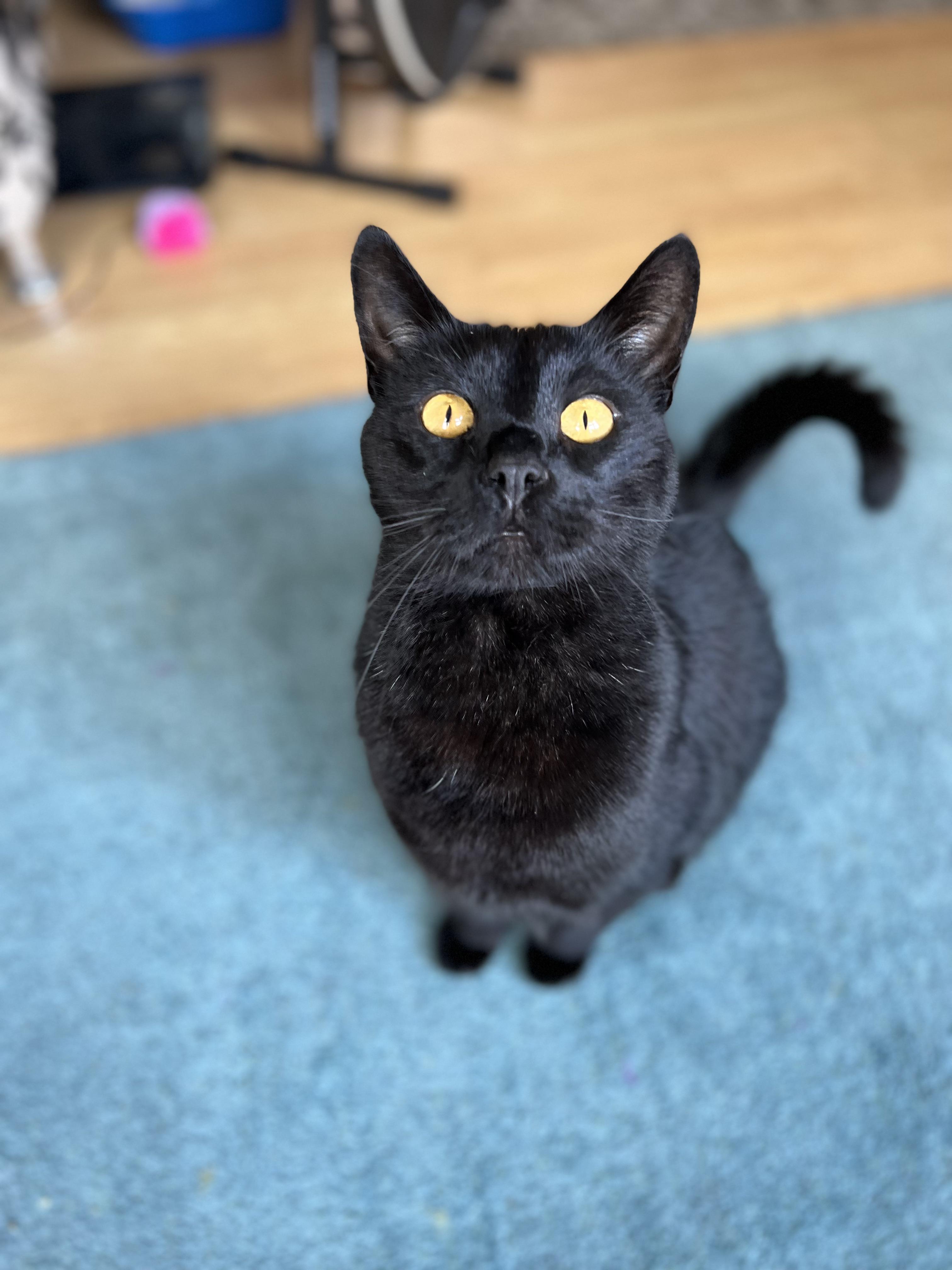 Freshly rescued void. | Scrolller