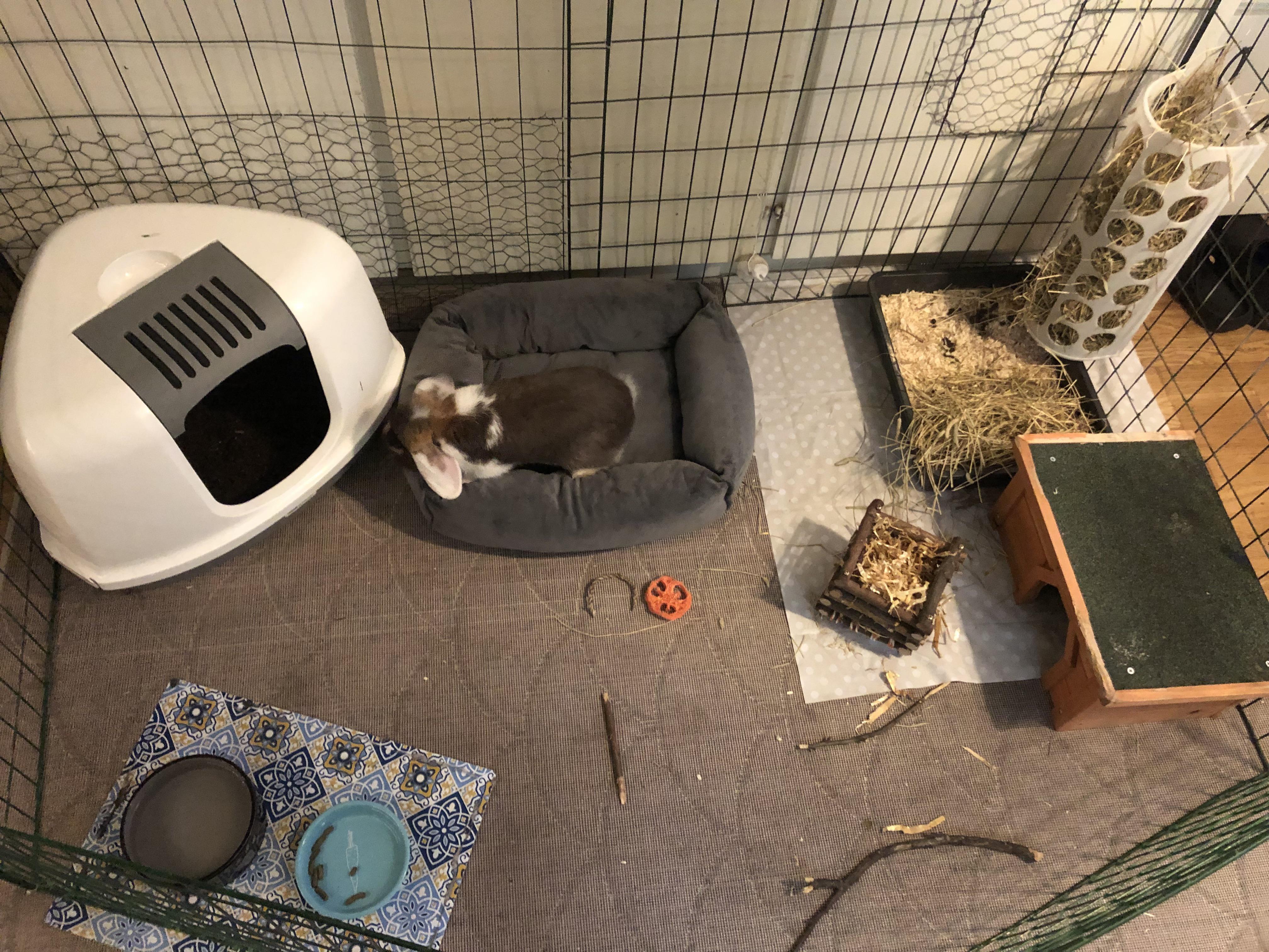 Thoughts on this setup? | Scrolller