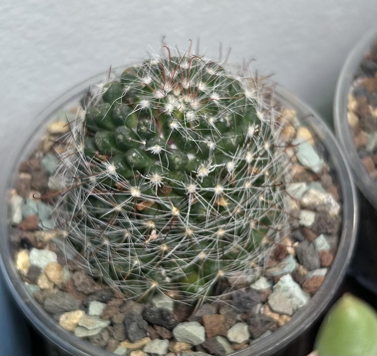 Watering? | Scrolller