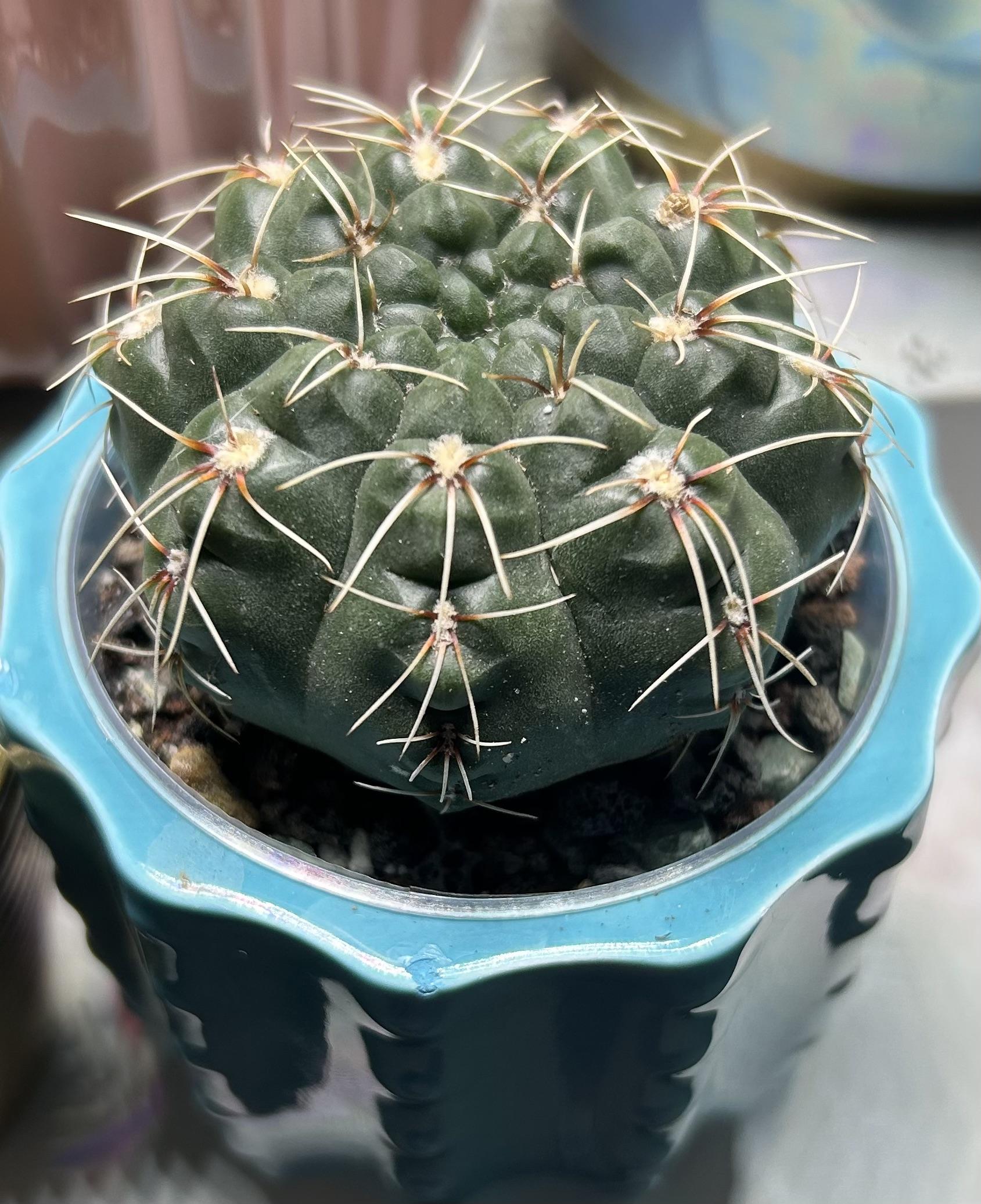 Watering? | Scrolller