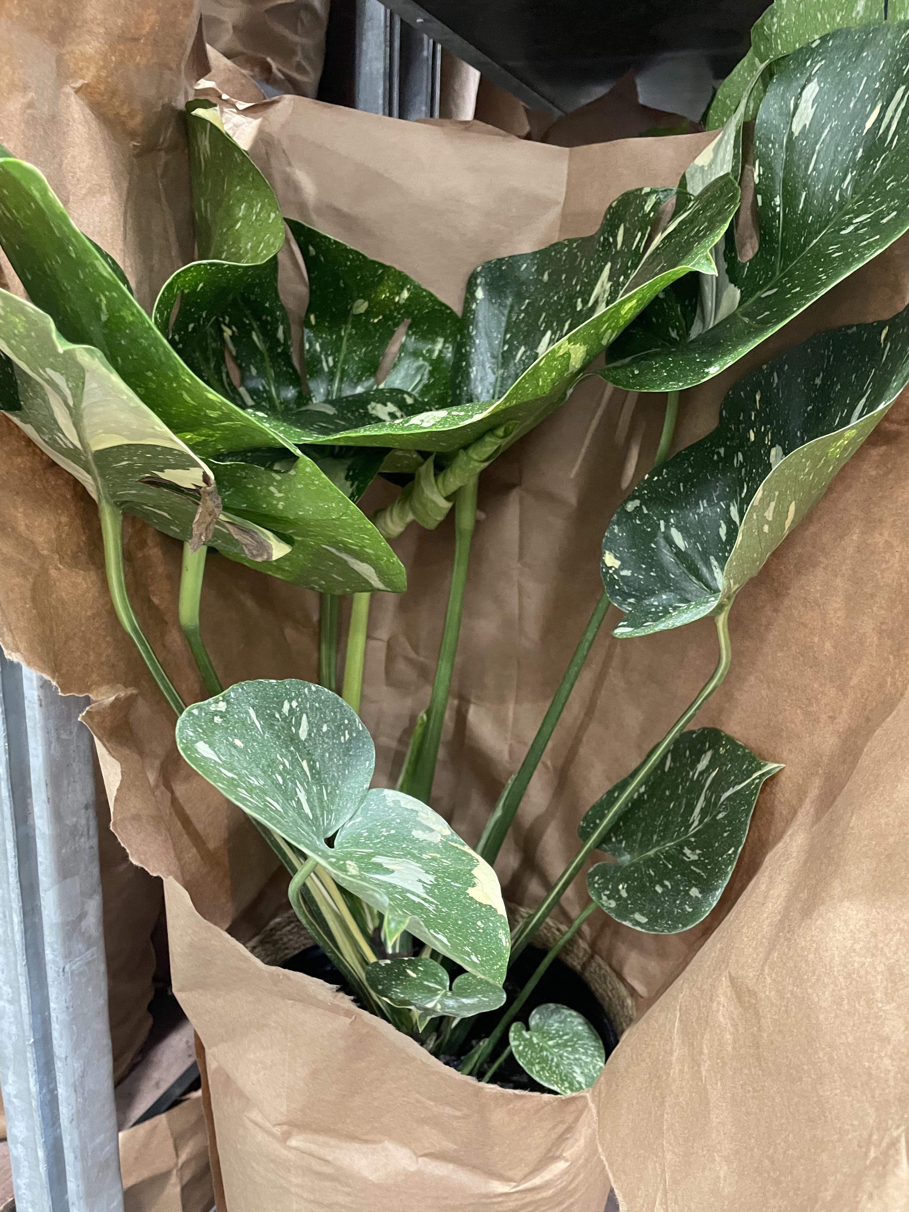 Costco with the hook up!! | Scrolller