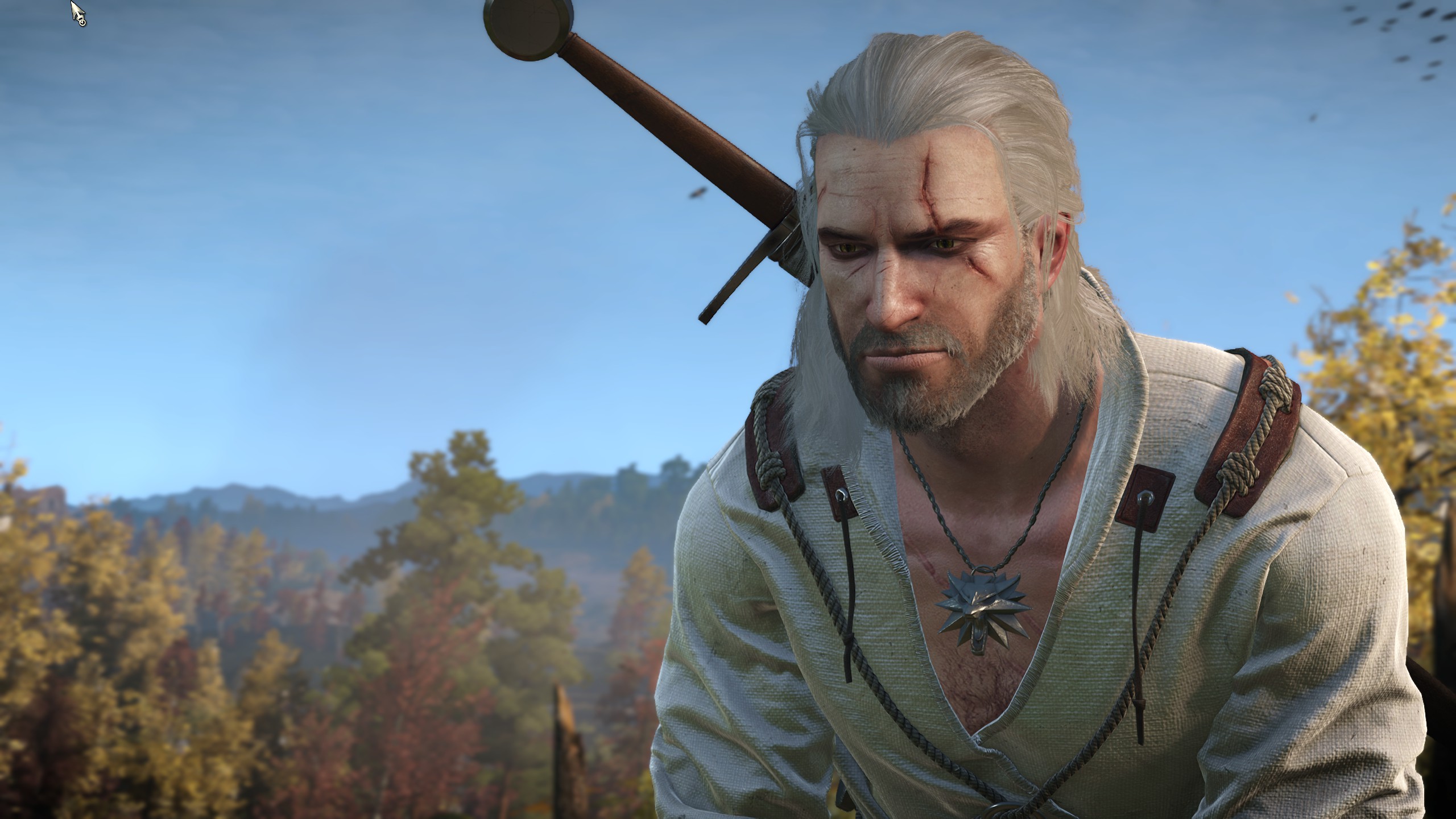 Geralt & The Griffin | Scrolller