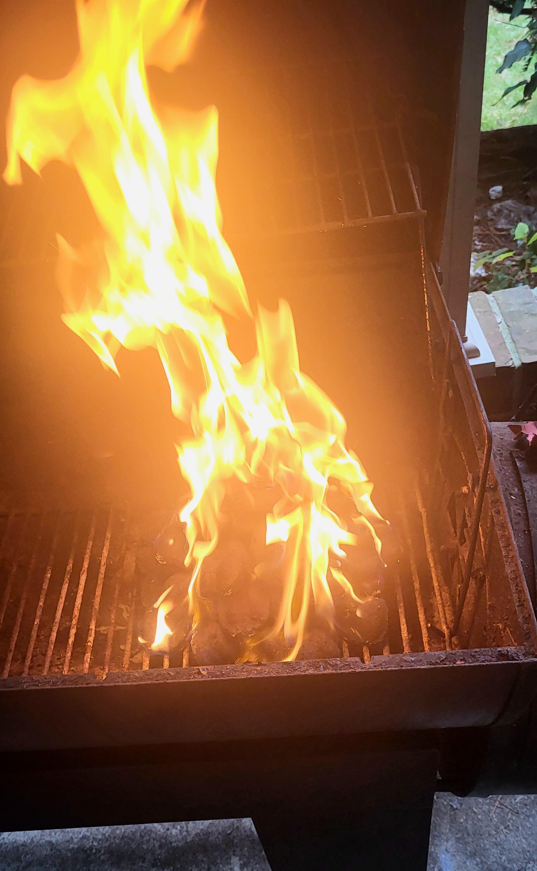 Avocado salsa and mushroom Swiss burger grilling with the next generation | Scrolller