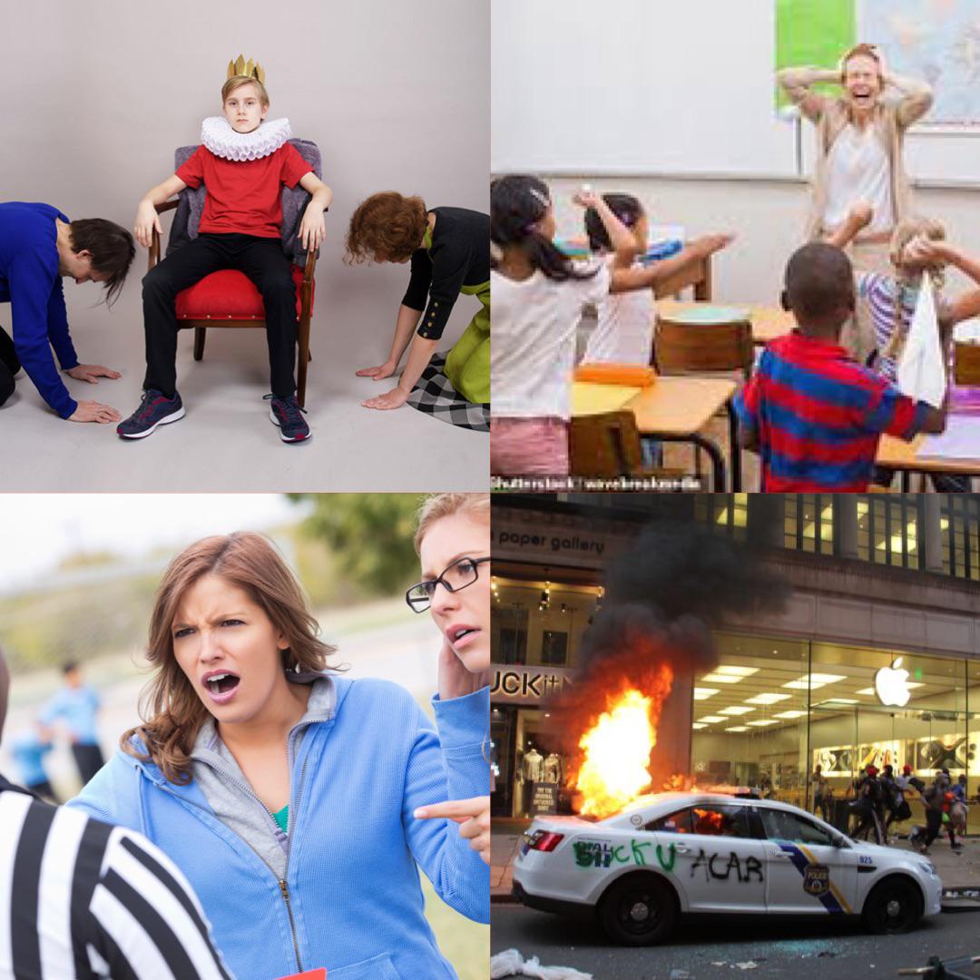 Discover more like PublicFreakout: Respect authority and Related Content | Scrolller