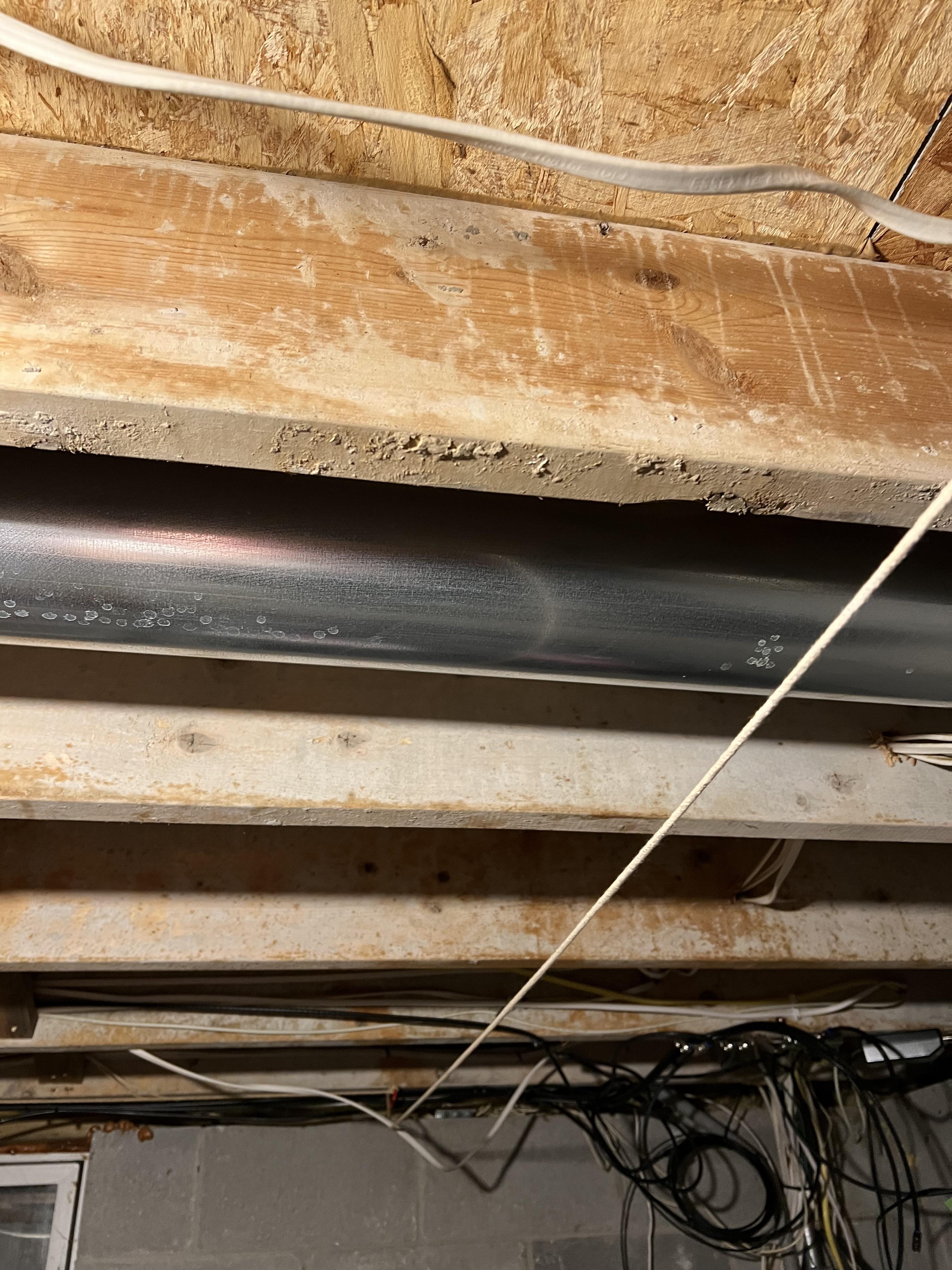 Is this white mold? | Scrolller