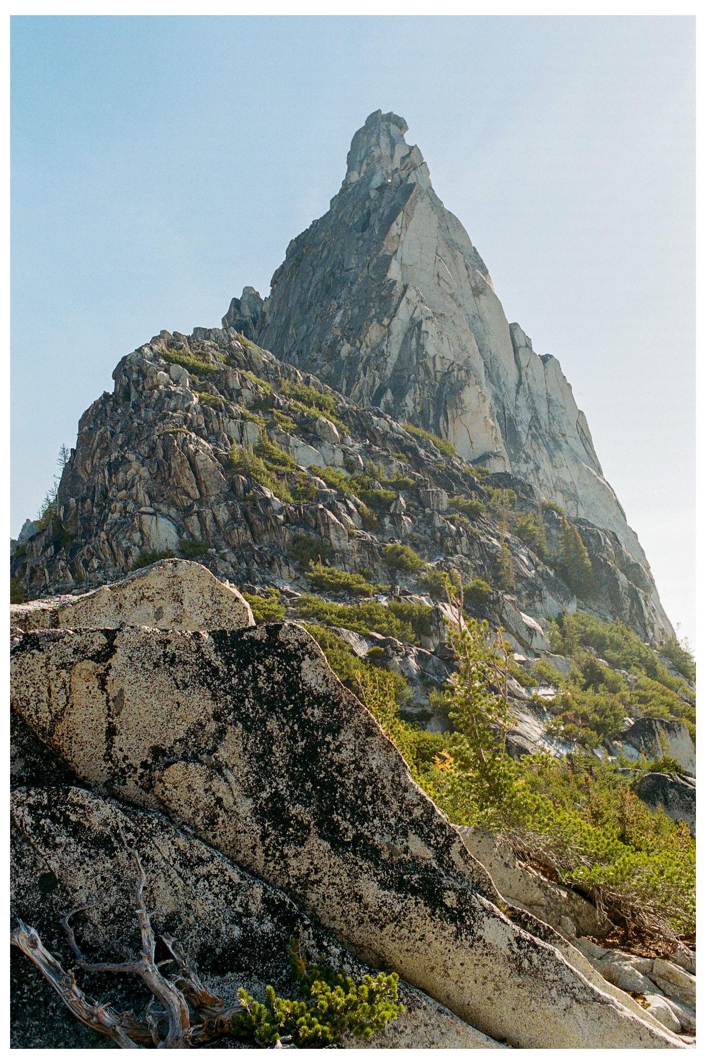 Film shots | Scrolller