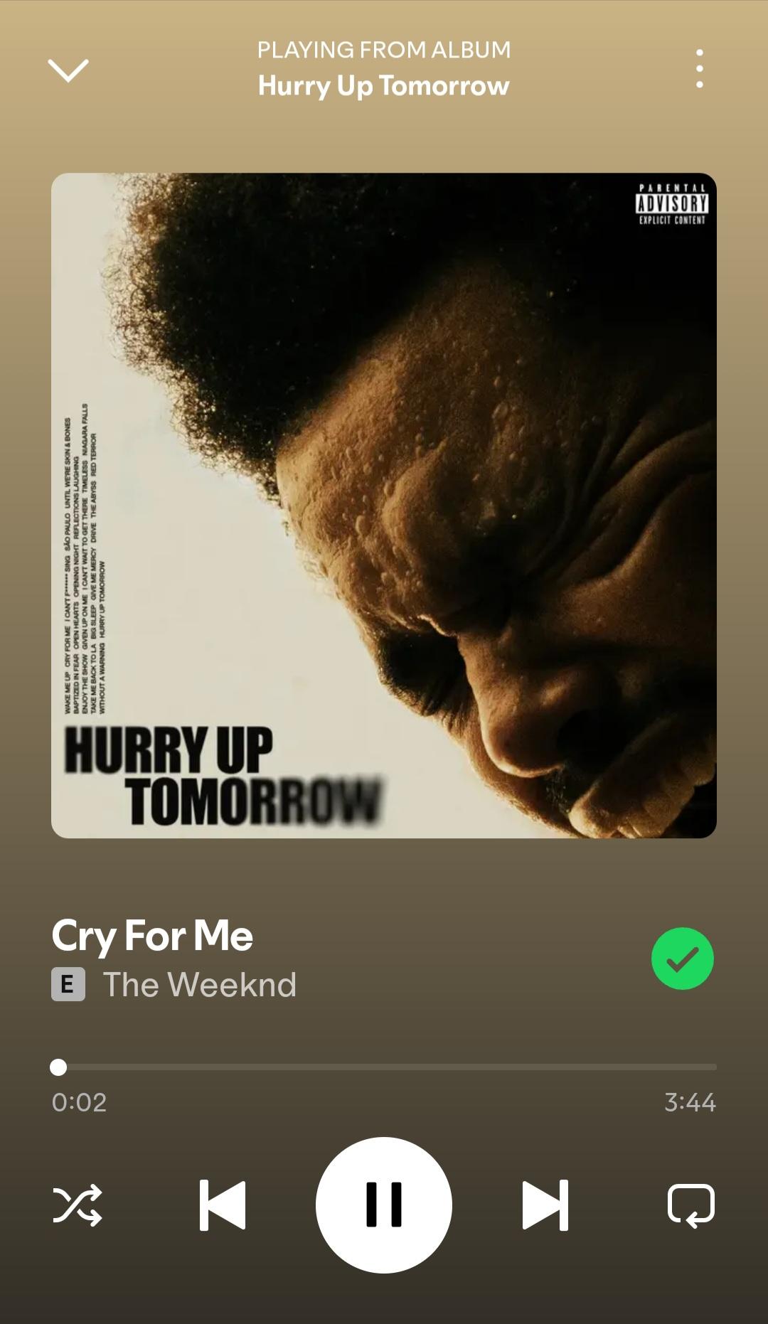 Which track *should've* been the lead single? | Scrolller