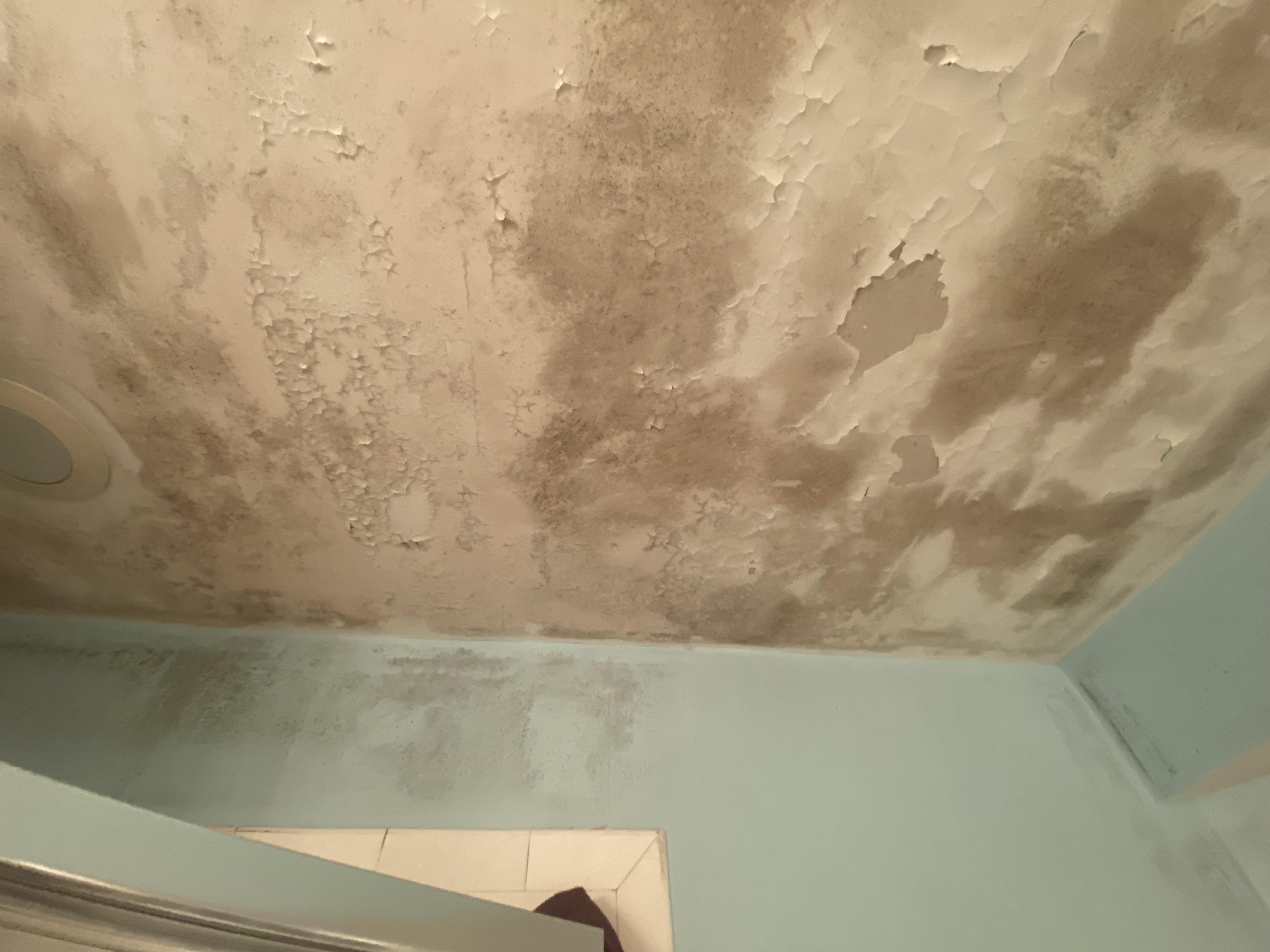Mold?! | Scrolller