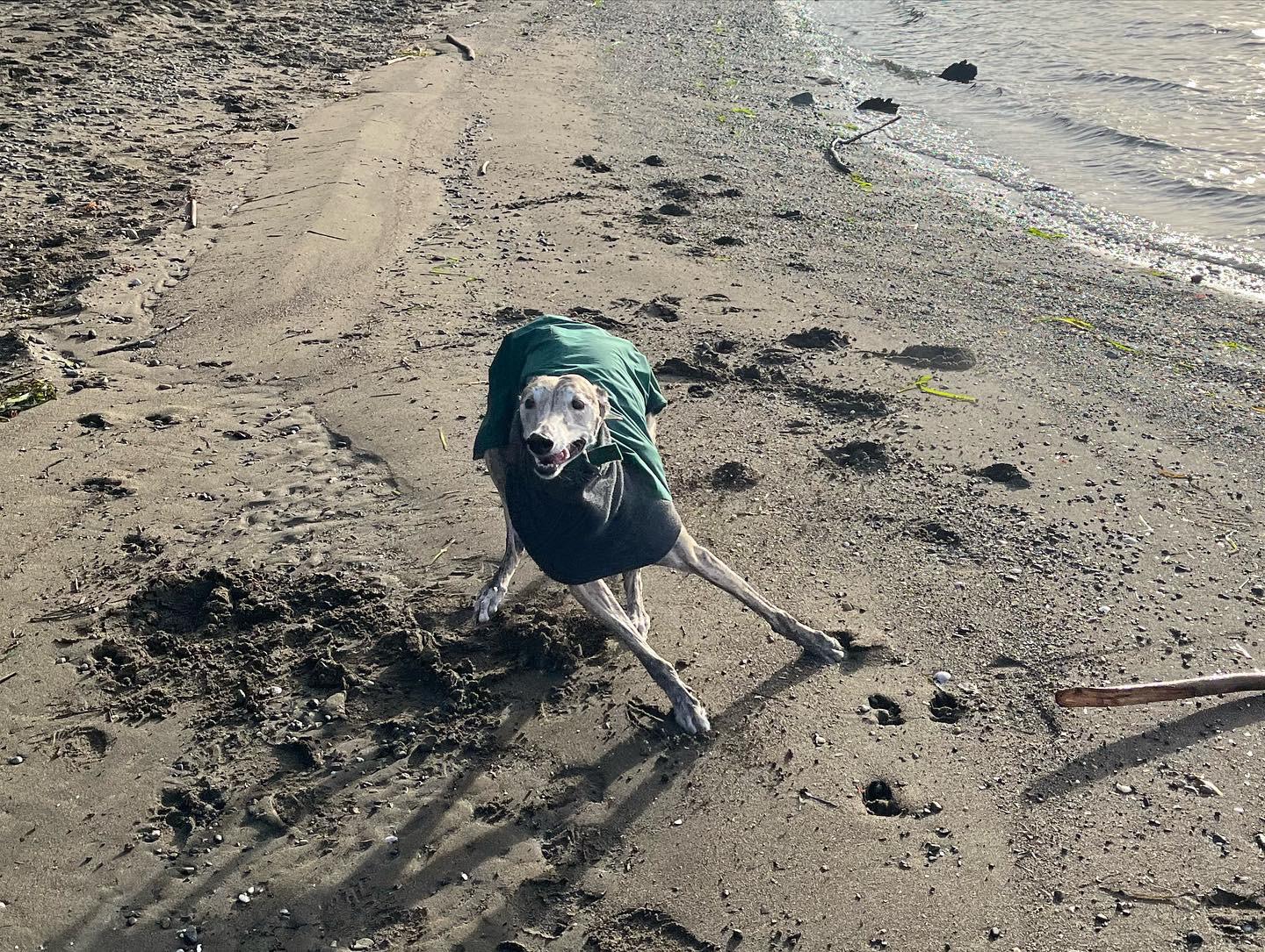 A compilation of Summit and all of his weird faces | Scrolller