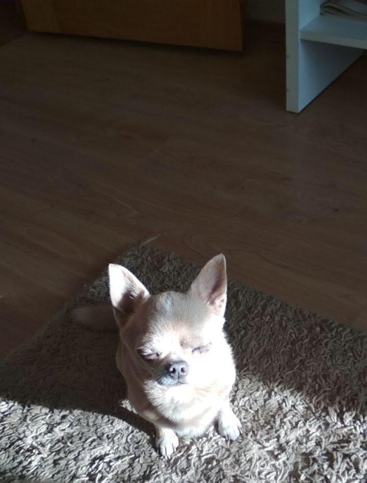 He is ascending! | Scrolller