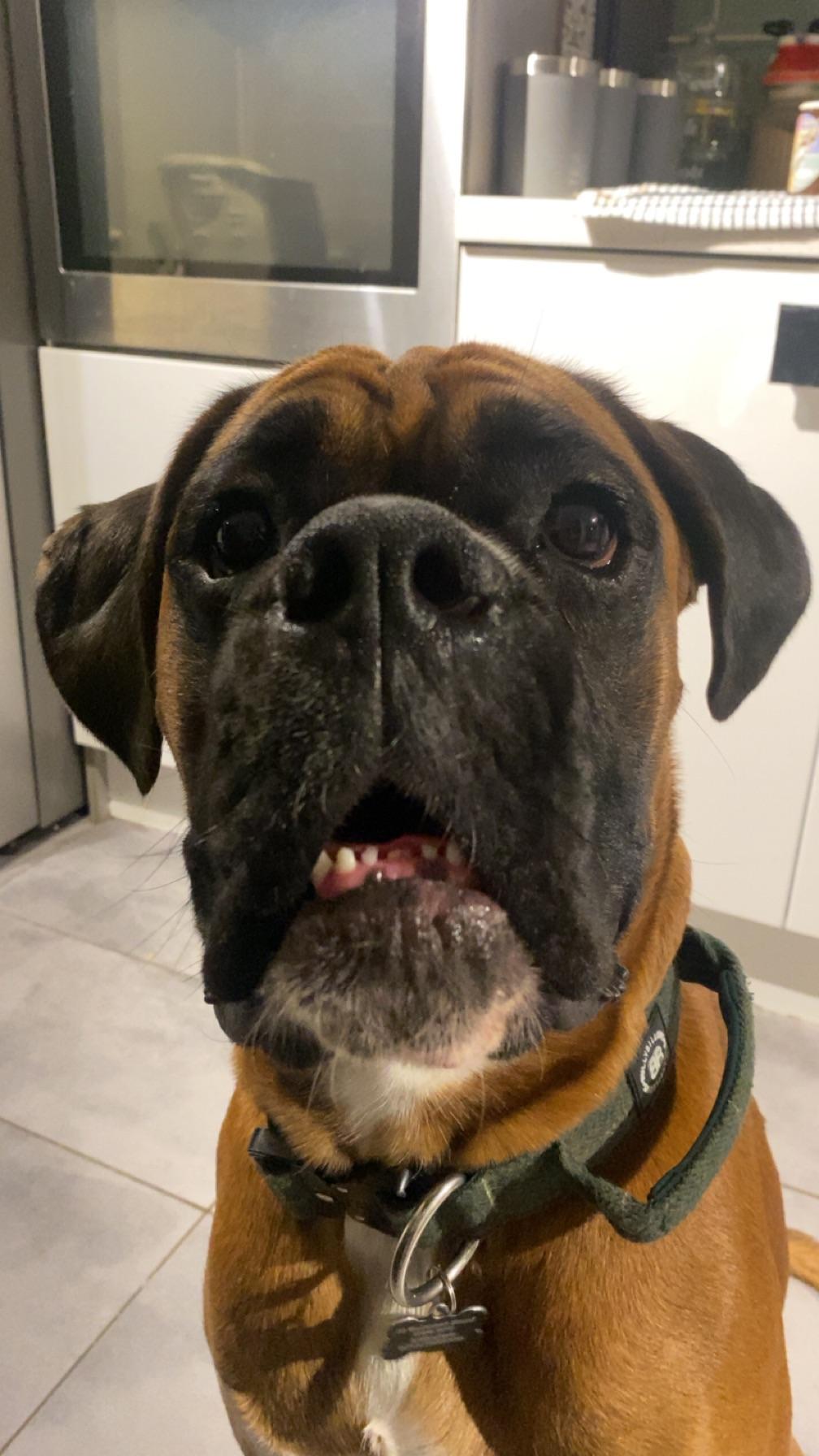 Otis 🤎 | Scrolller