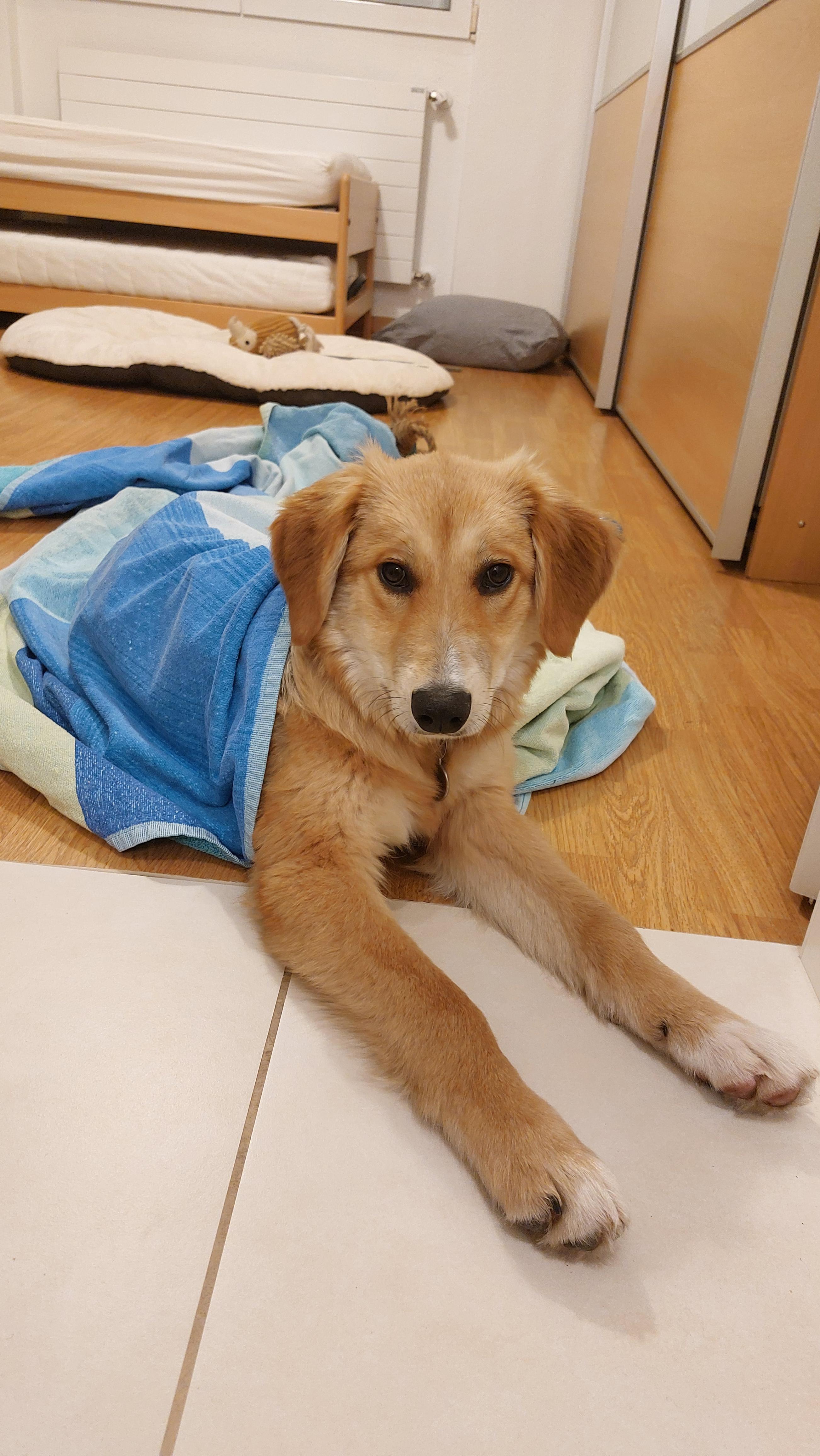 Meet Mia | Scrolller