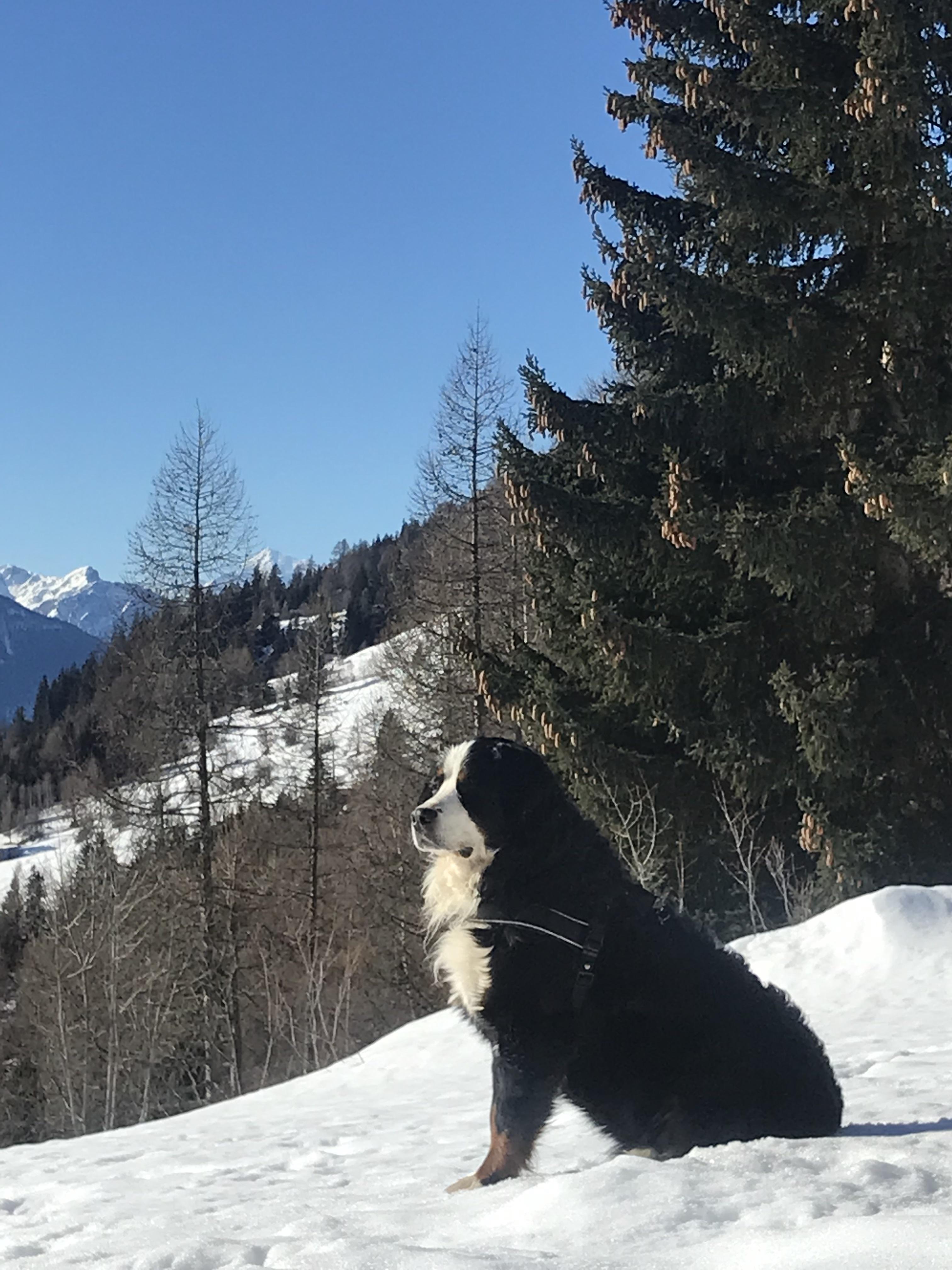 Summer, different poses… | Scrolller