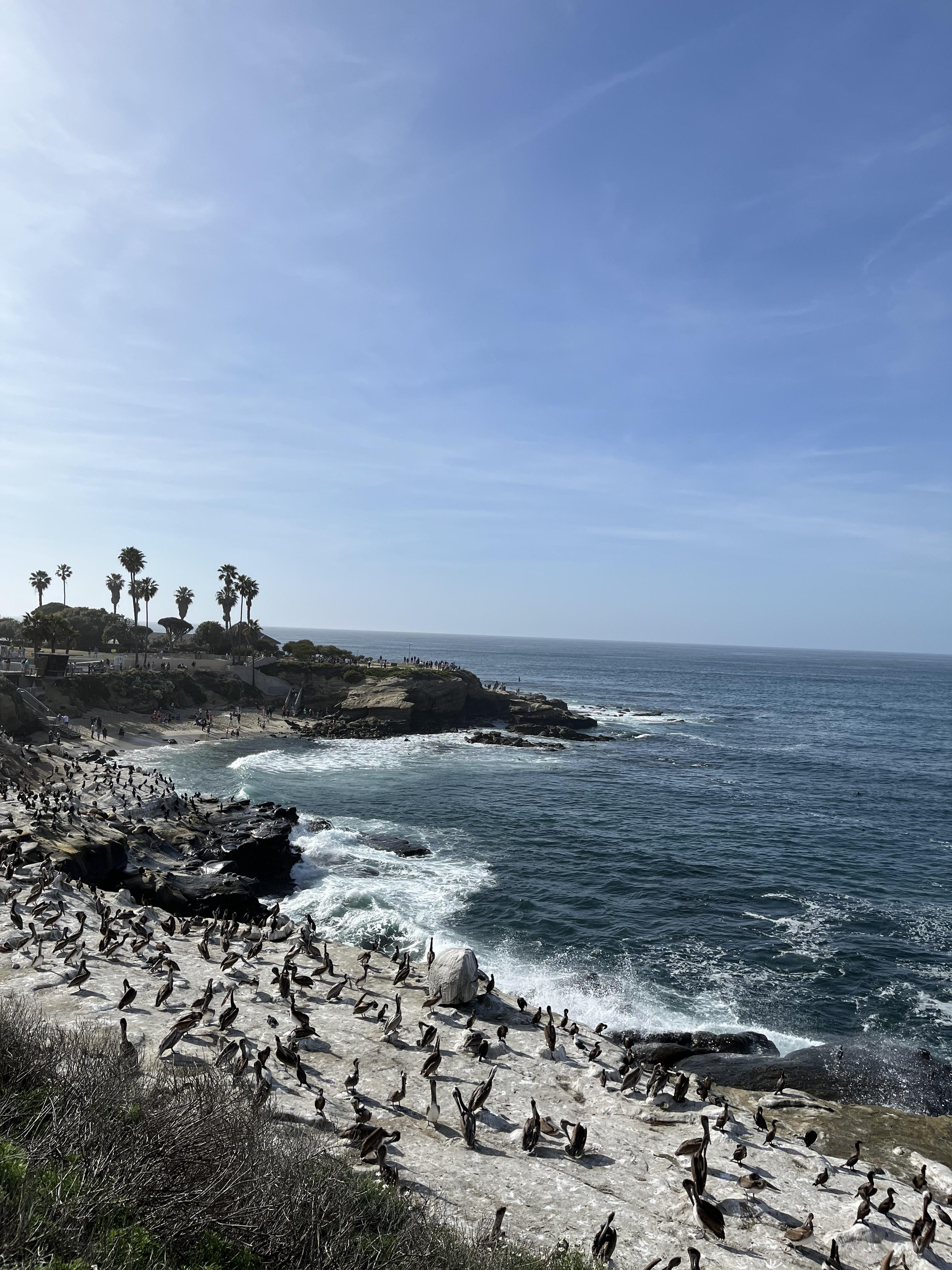 La Jolla Coves, San Diego, California | Scrolller