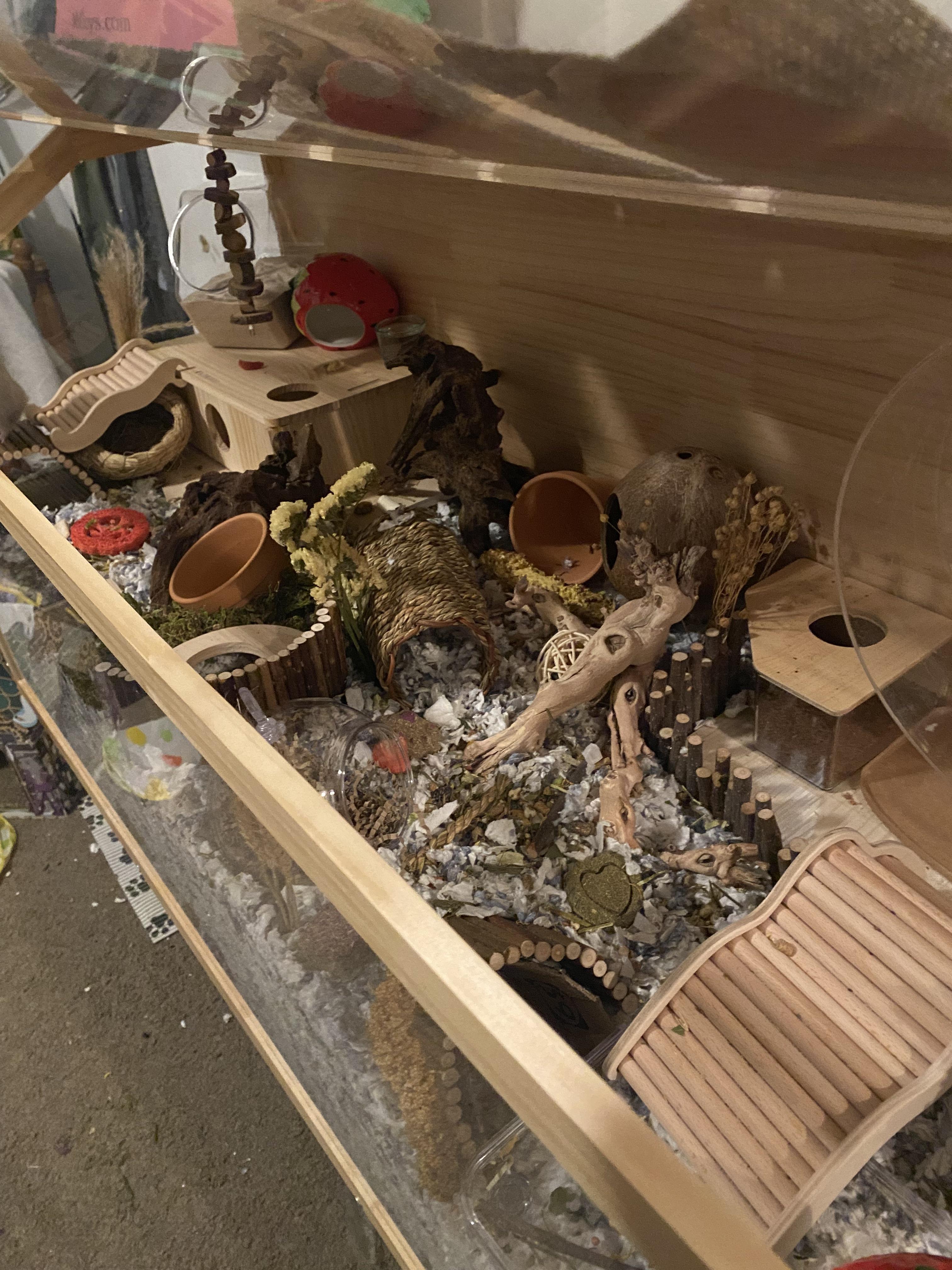 New Enclosure Setup! | Scrolller