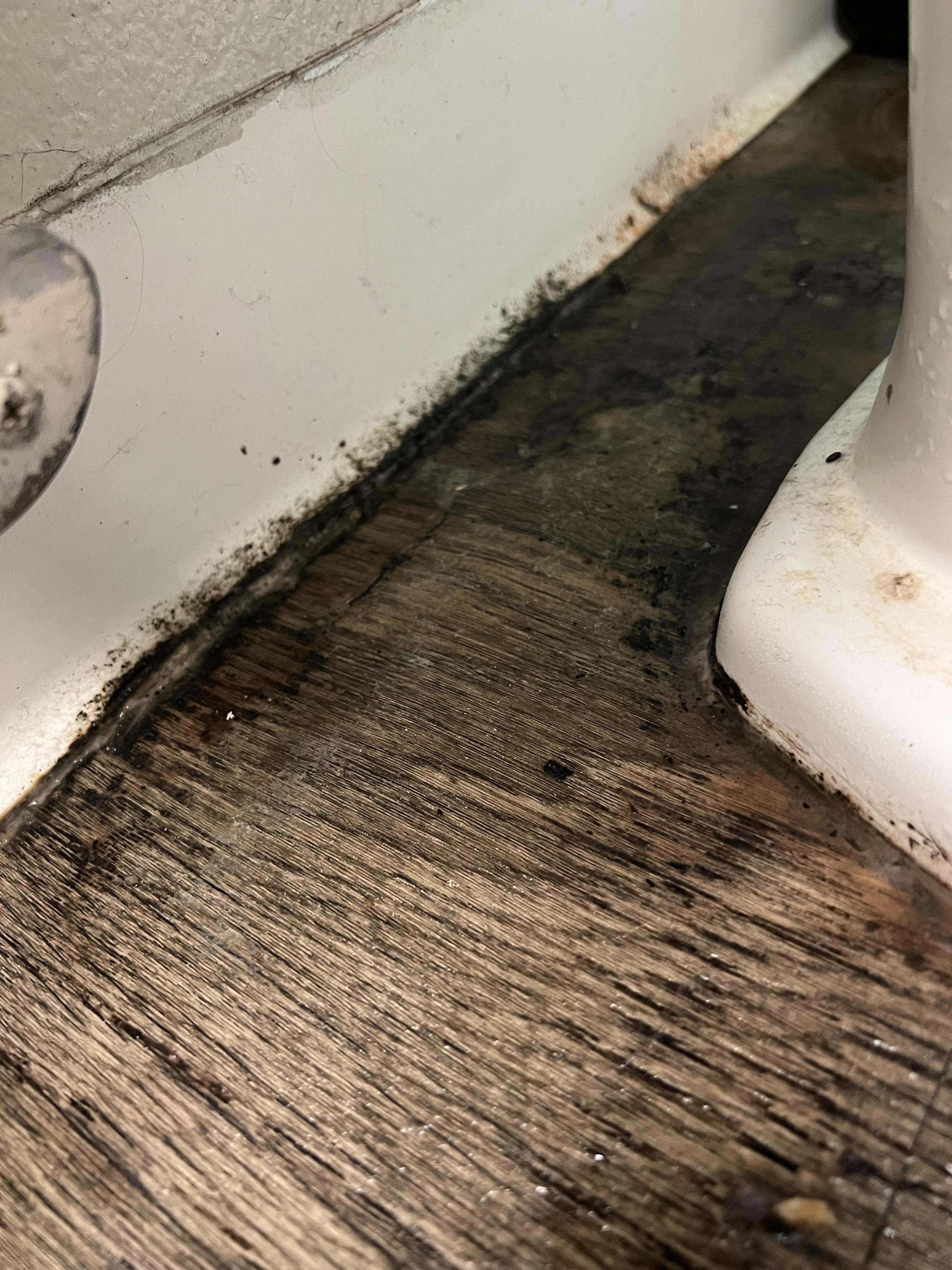 Please help! Is this mold or just grime? | Scrolller
