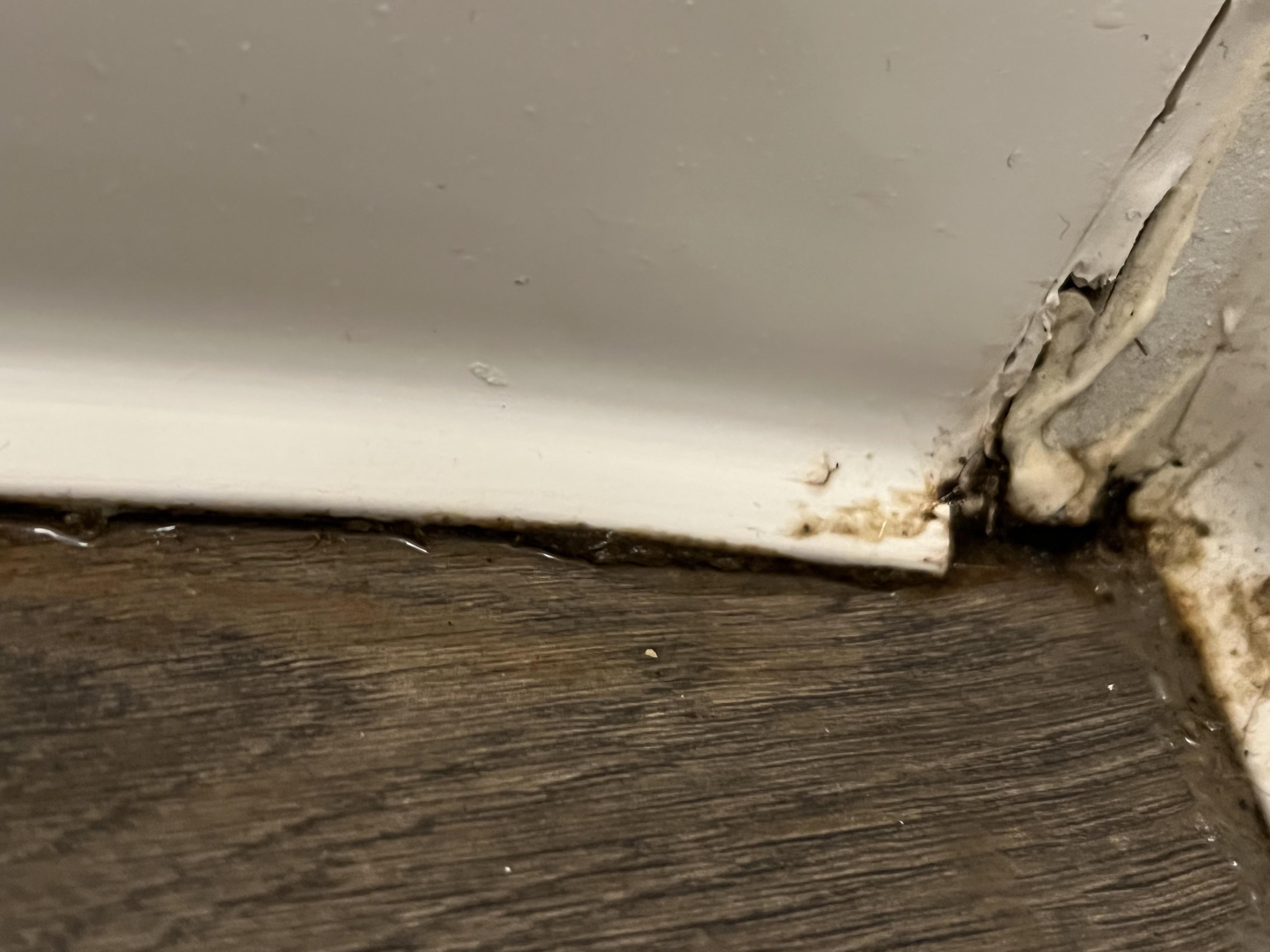 Please help! Is this mold or just grime? | Scrolller