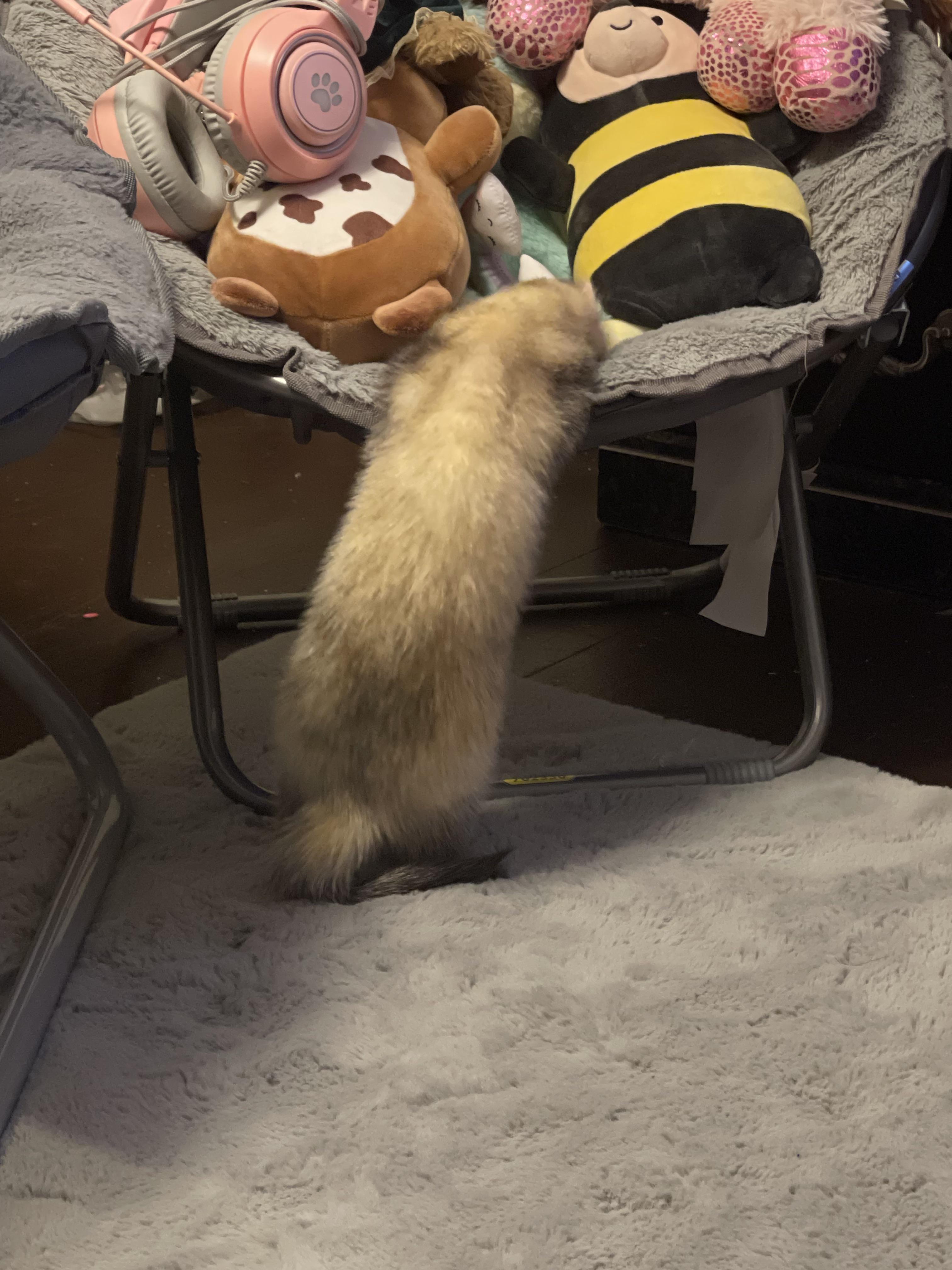 Chunk noodle | Scrolller