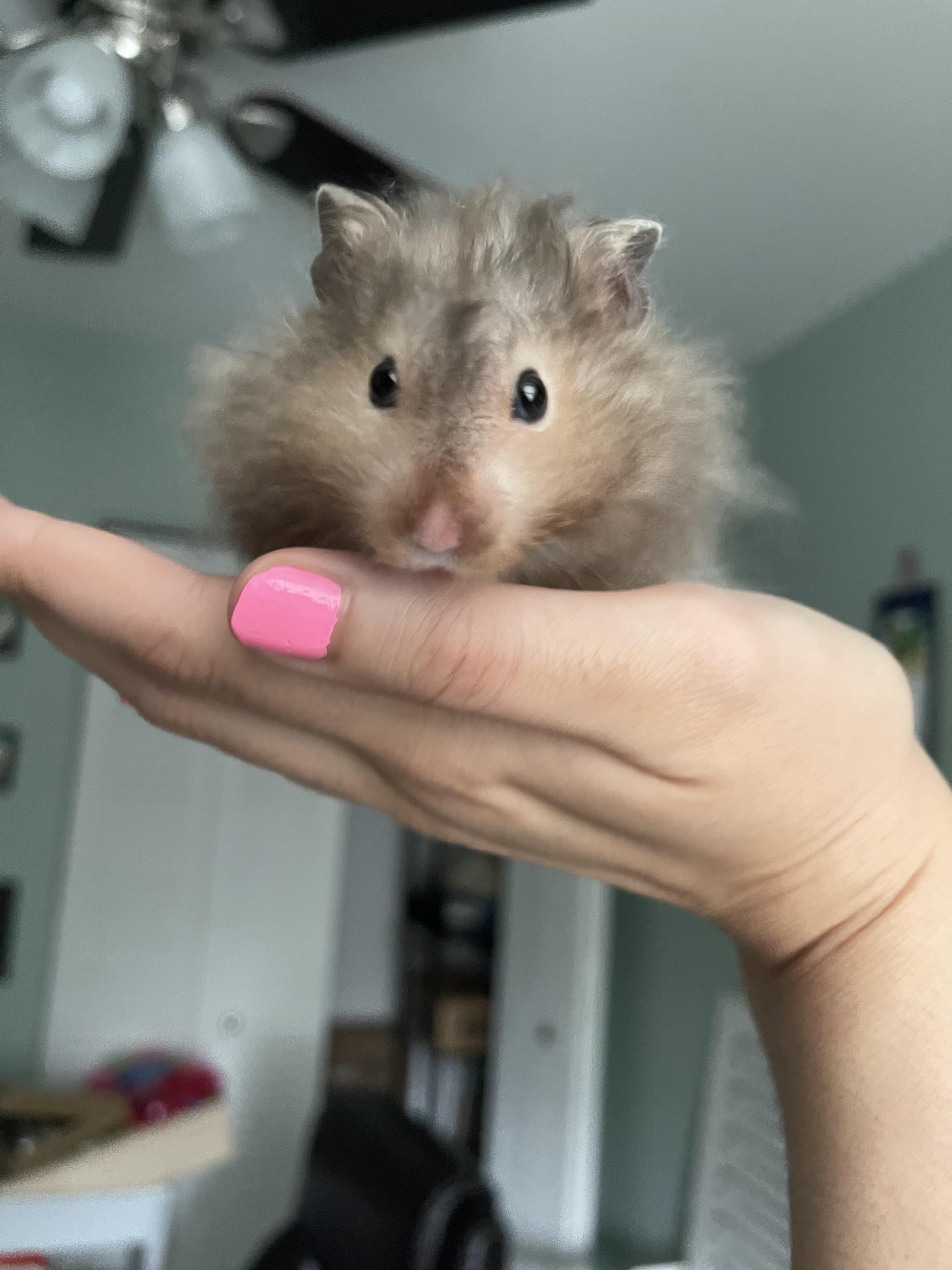 Ladies and gentlemen… Atlas🌏💕 | Scrolller