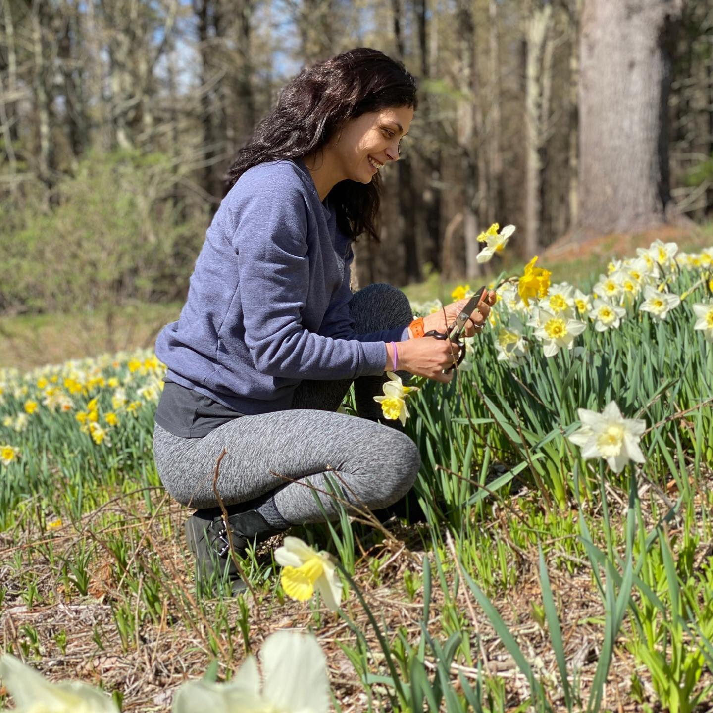 Morena Baccarin | Scrolller