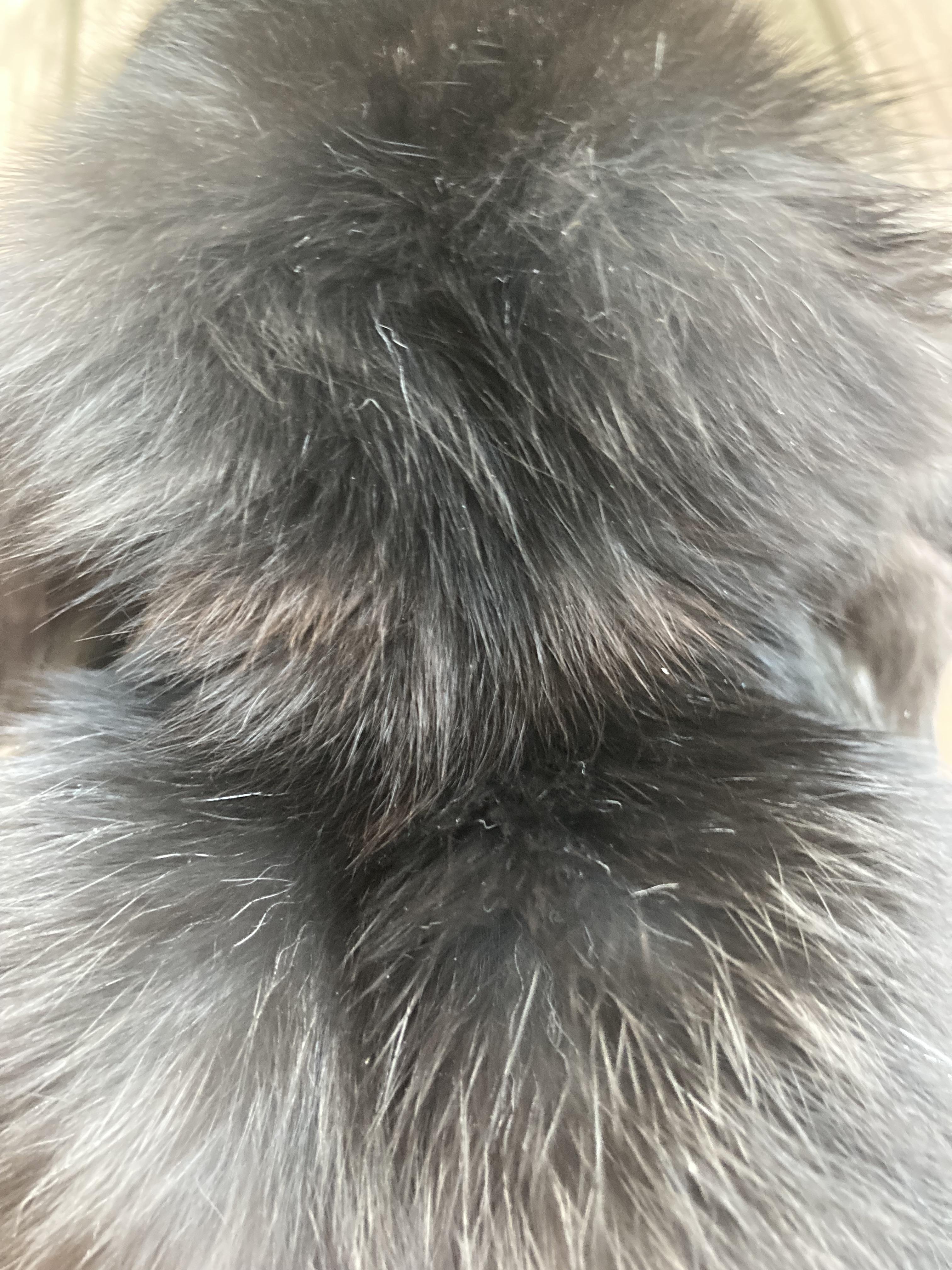 Why is my bun growing brown fur? | Scrolller