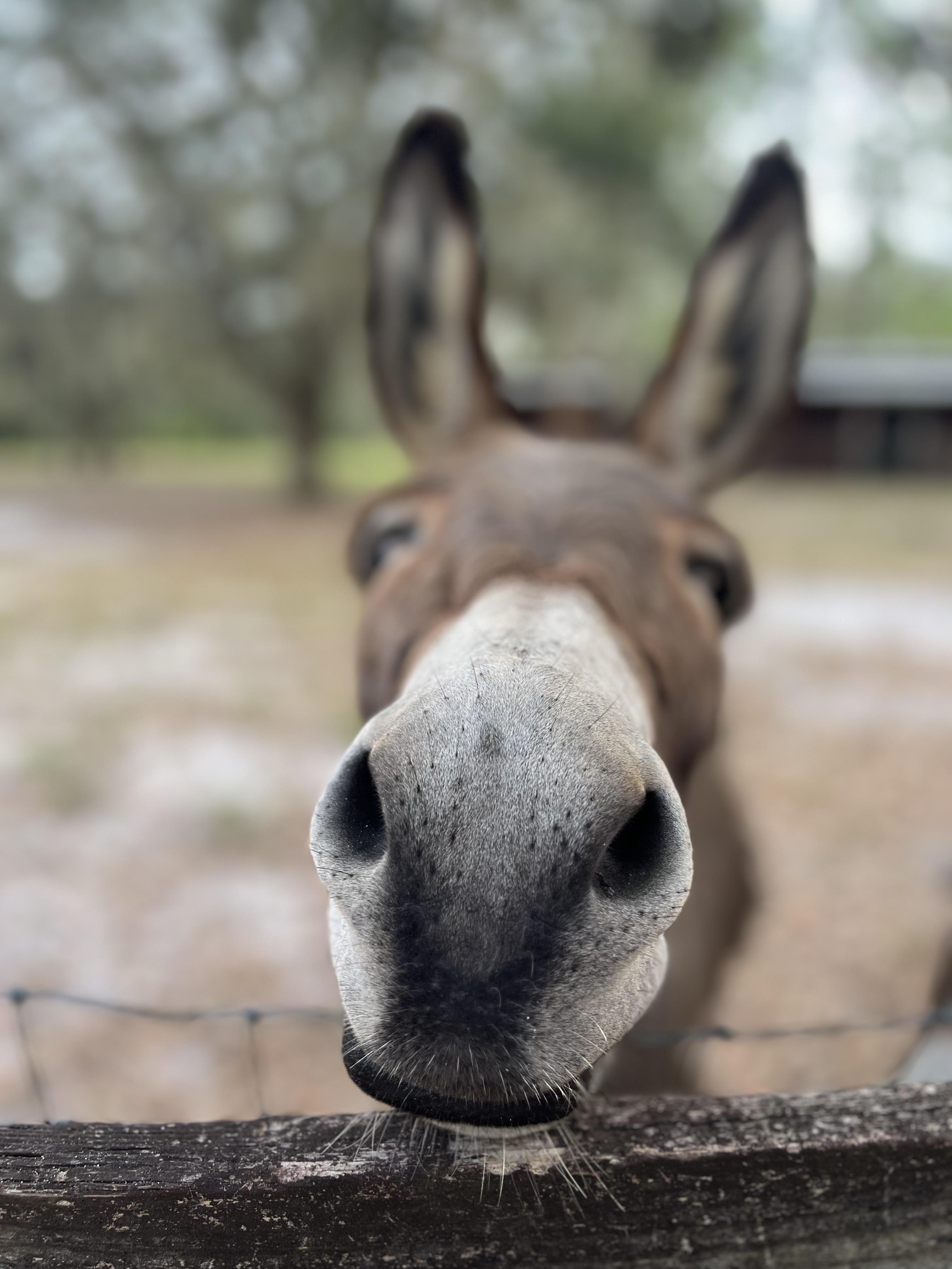 I made a new friend today. [OC] | Scrolller