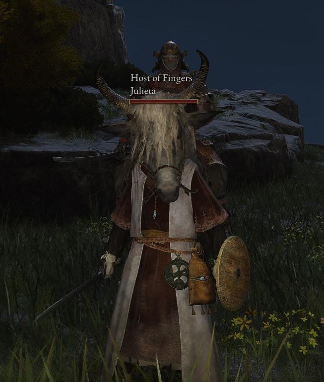 I started to play Elden Ring with my wife, best decision ever!! | Scrolller