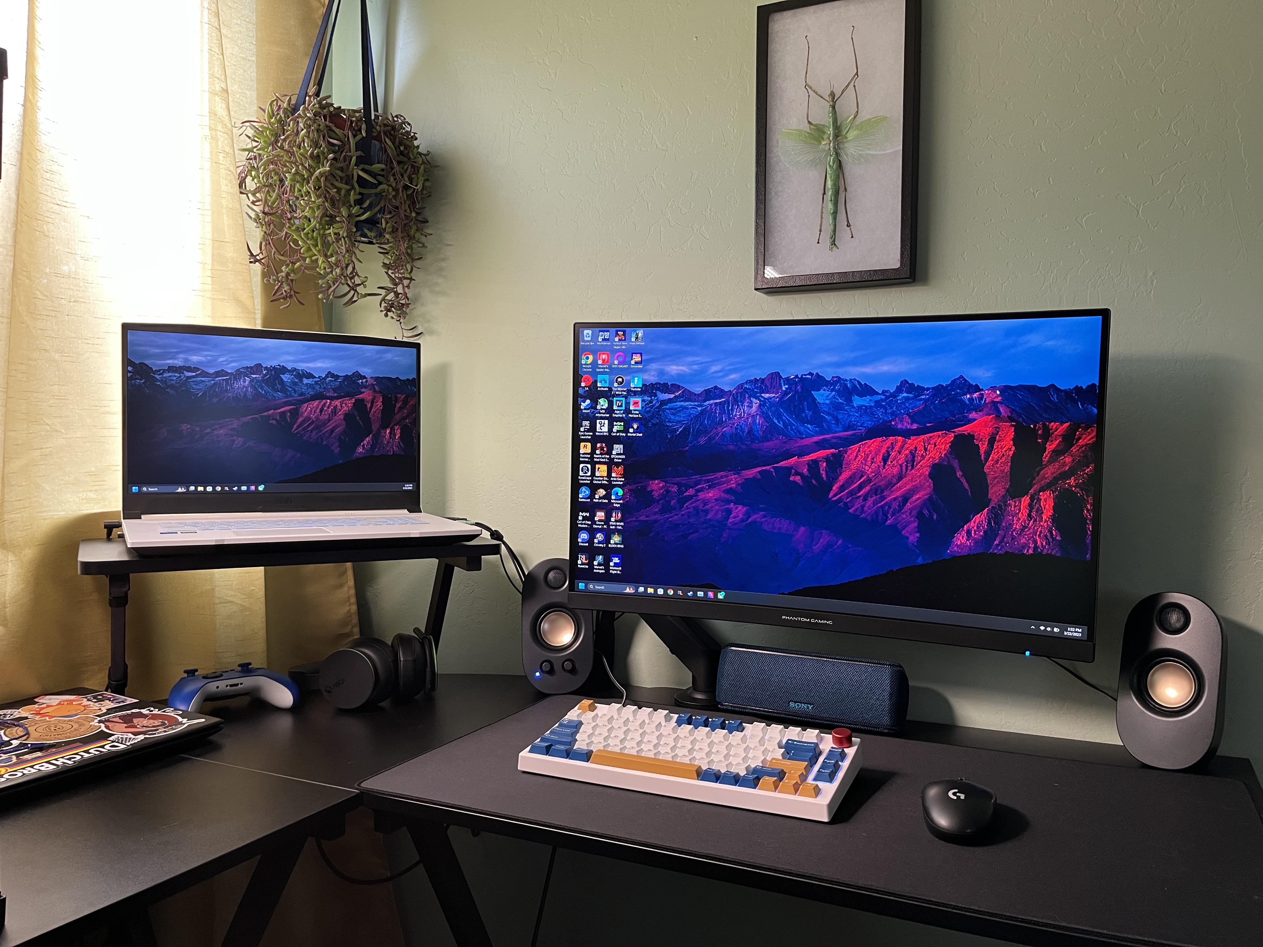 Humble laptop setup with Vivarium | Scrolller