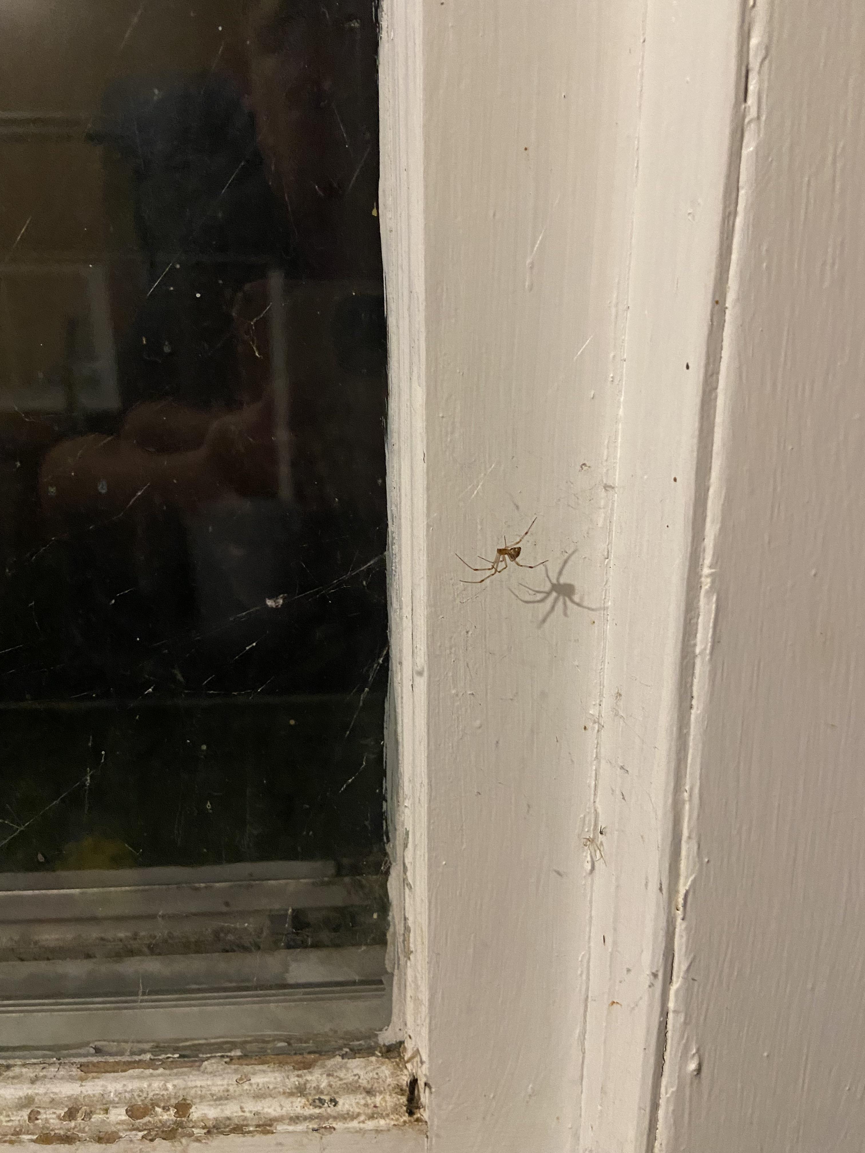 Sunroom friend - western kentucky | Scrolller