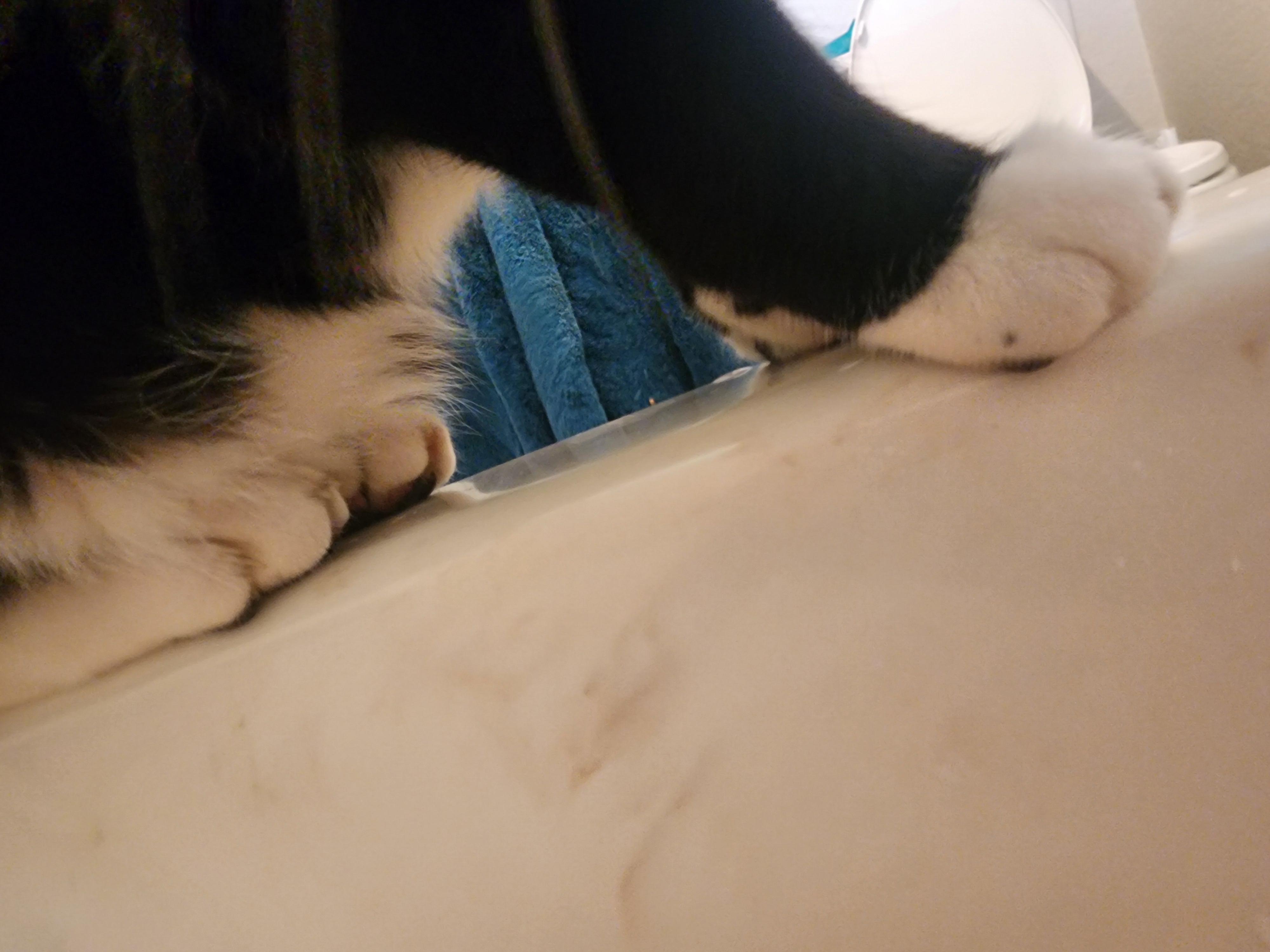 Fit Check! | Scrolller